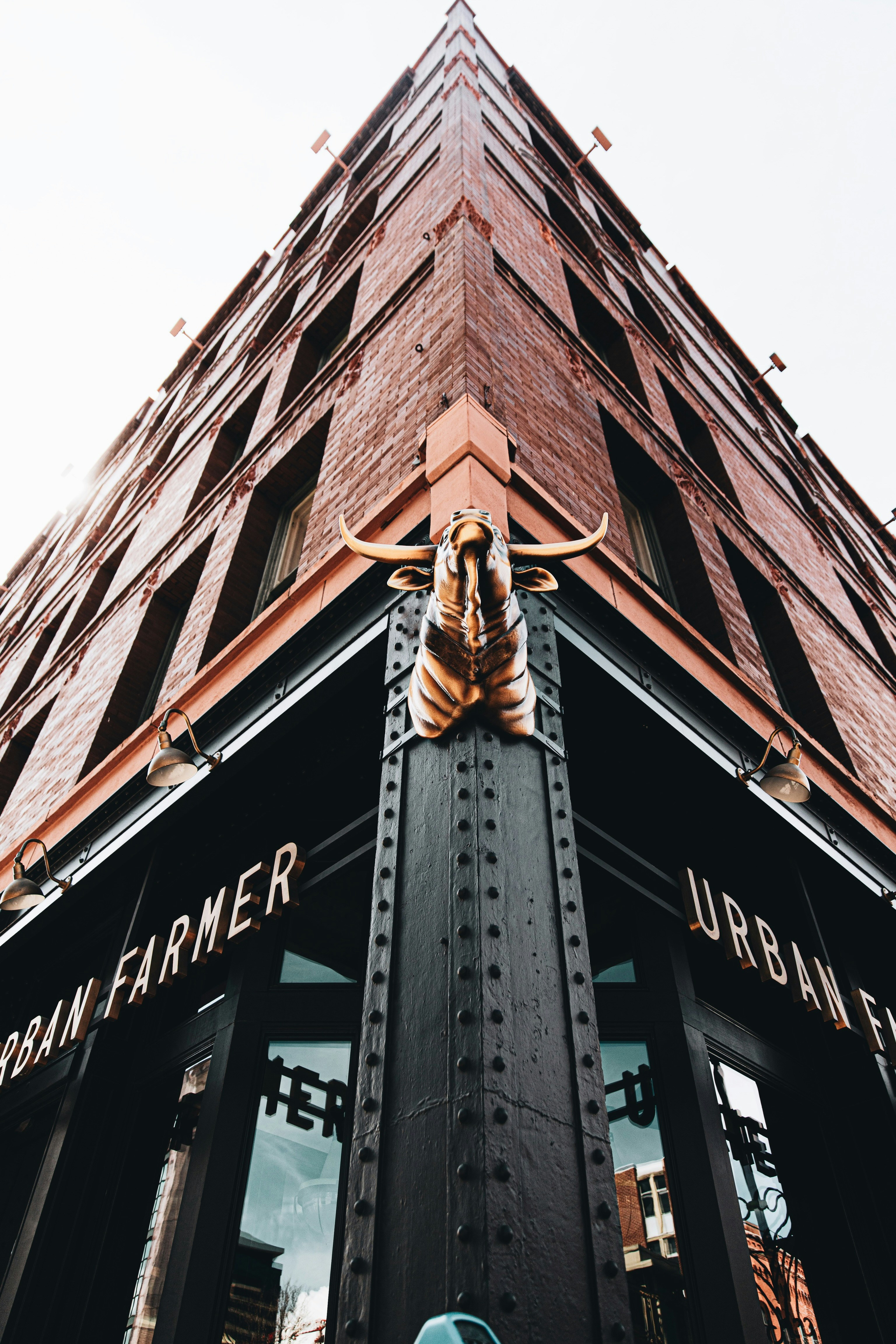 Street-Level Dynamo: A Bull's Masthead Framing an Urban Facade