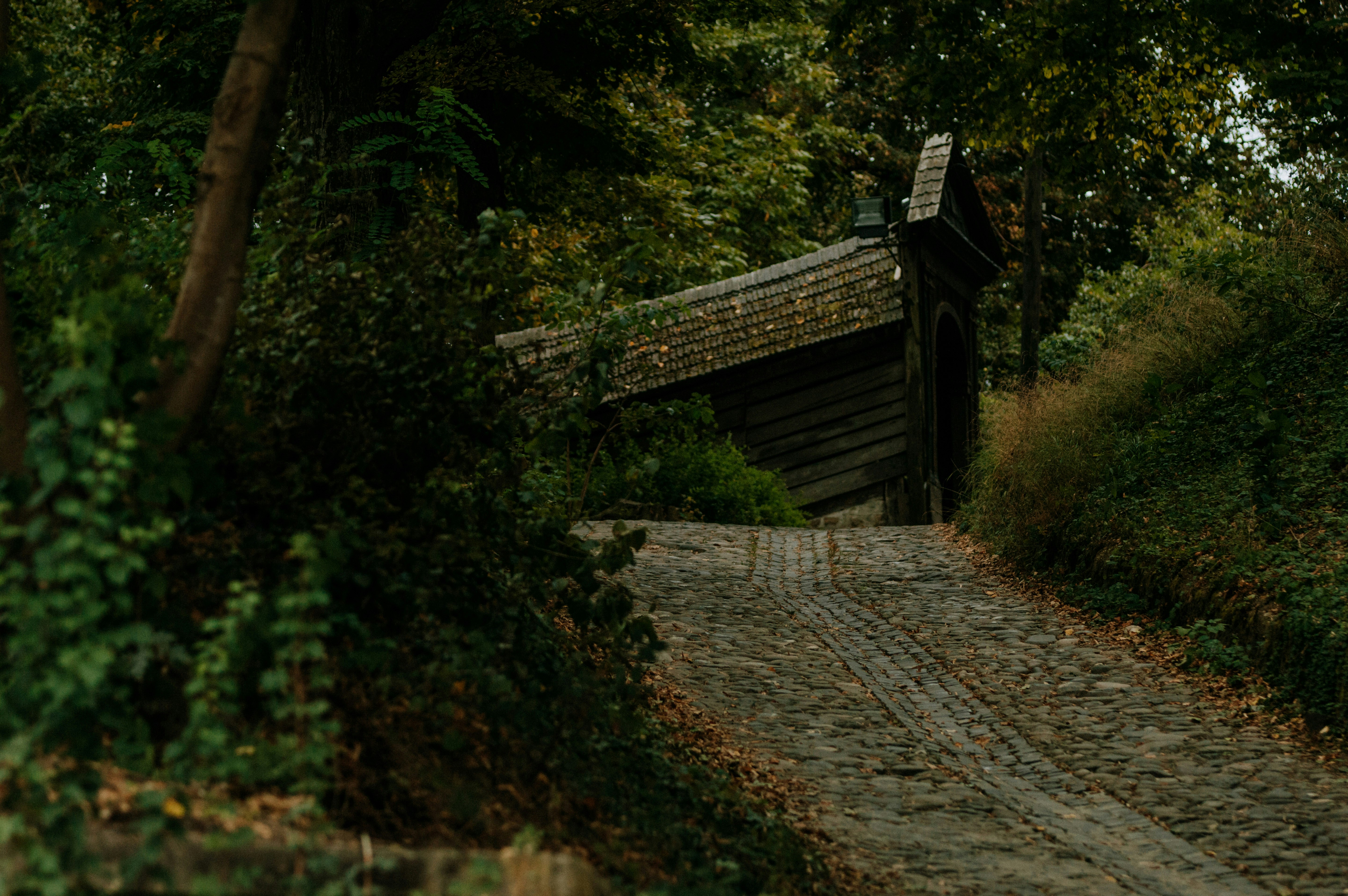 Exploring the Thrilling World of Alice in Borderland Season 3