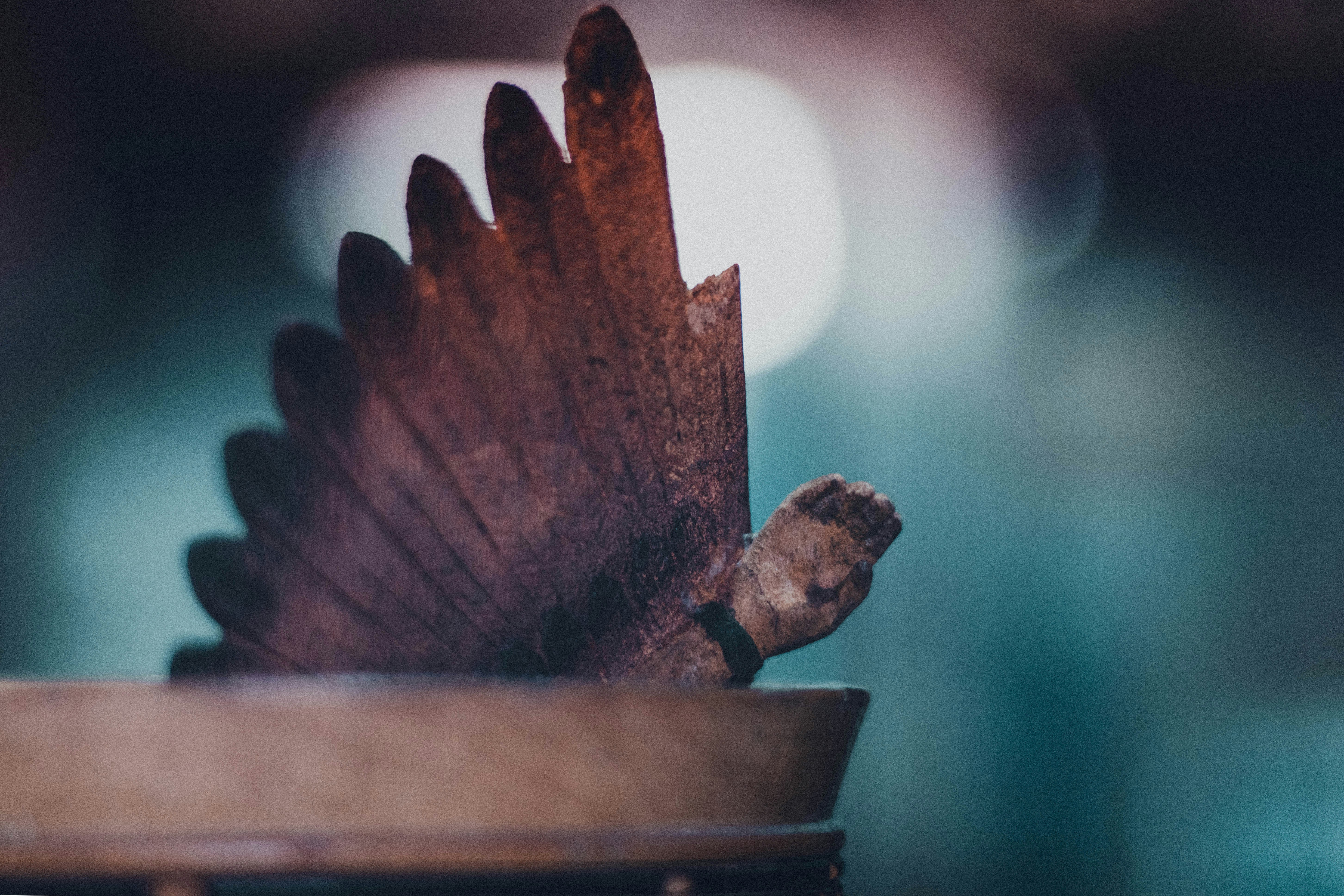 Rusted Featherlet on Teal Backdrop: A Micro Macro Moment