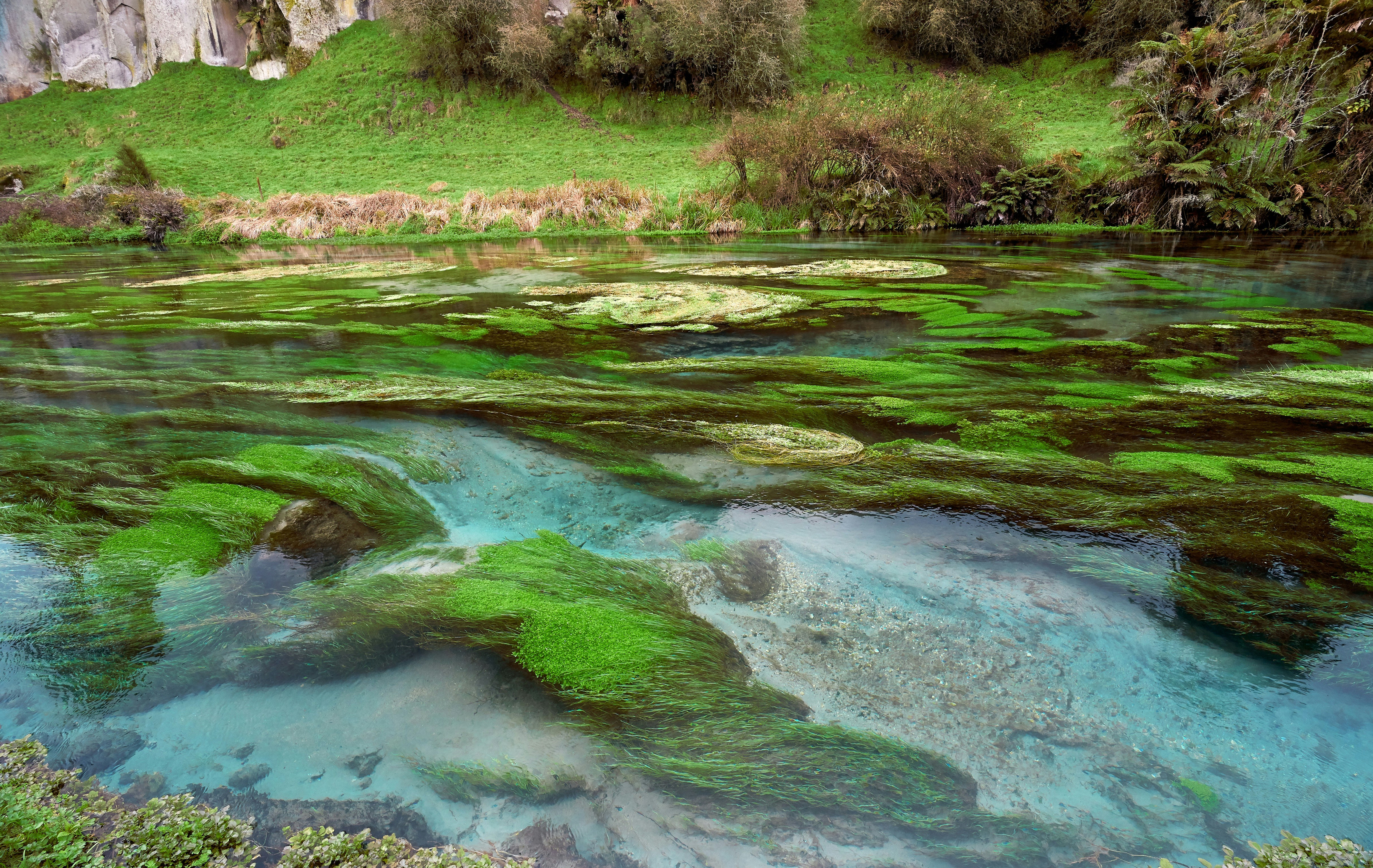 Green water river near green trees during daytime photo – Free Plant ...