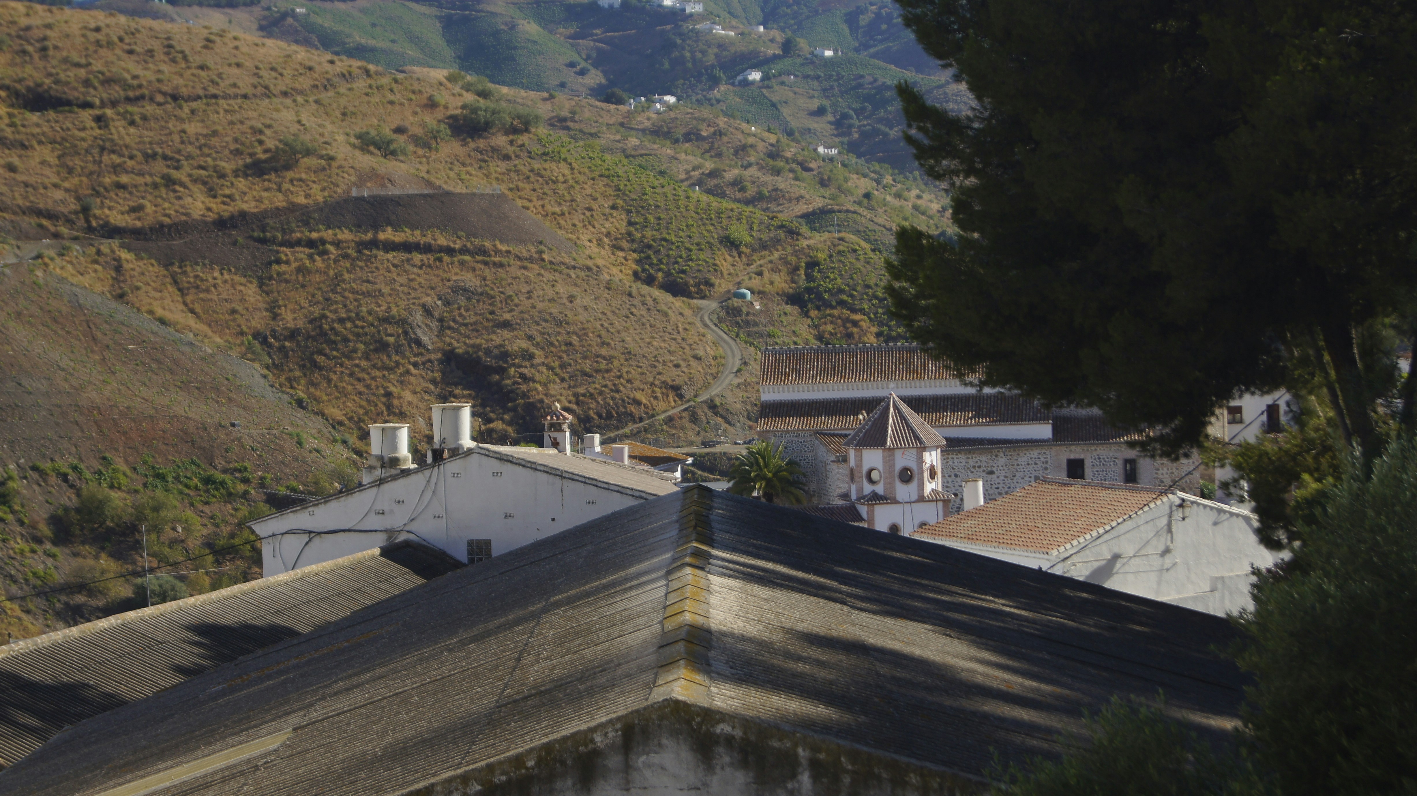 Ismael ck (@jorisck) | Unsplash Photo Community