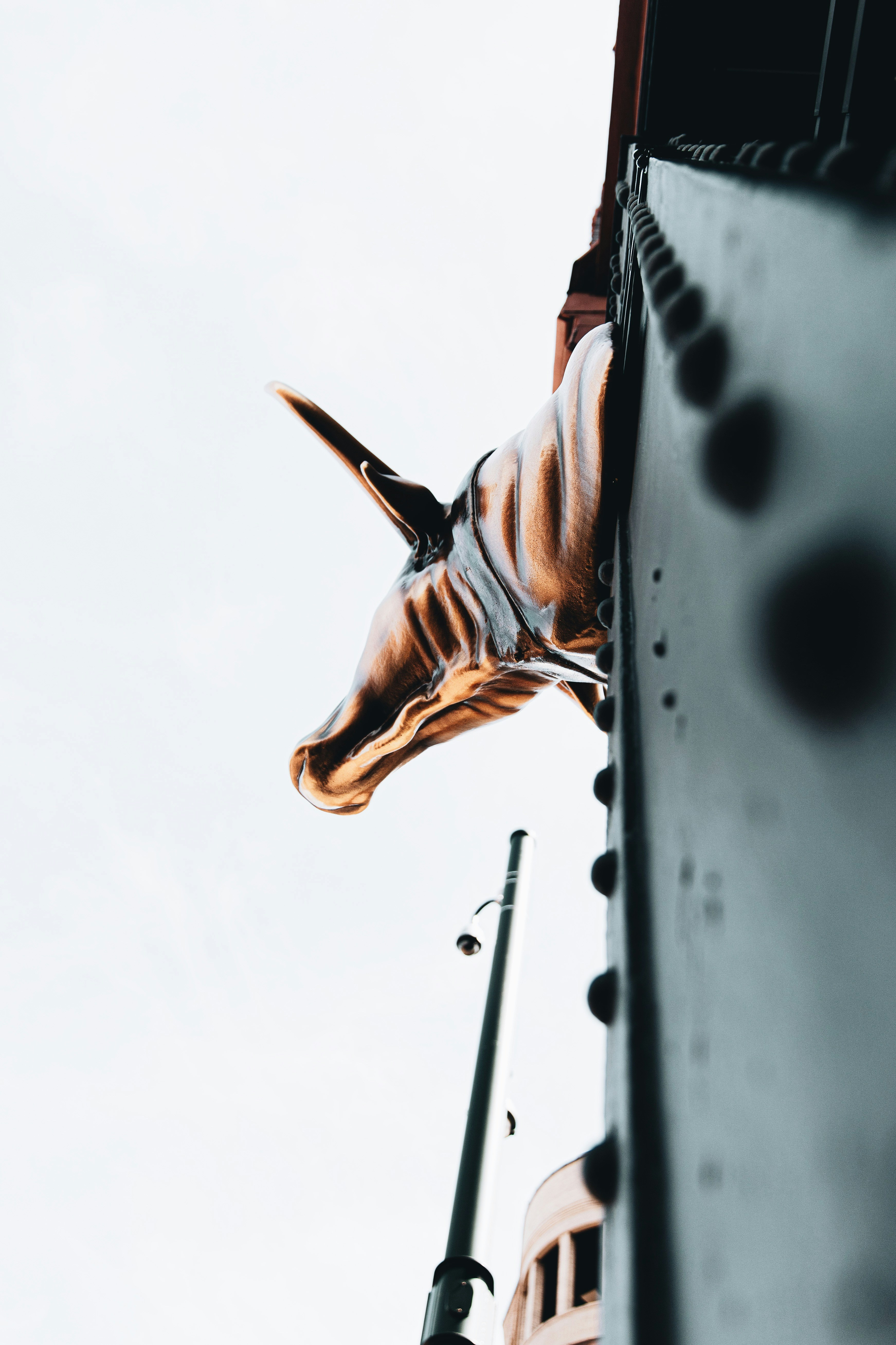 Upward Gaze: A Giraffe's Coppered Silhouette Clinging to Steel