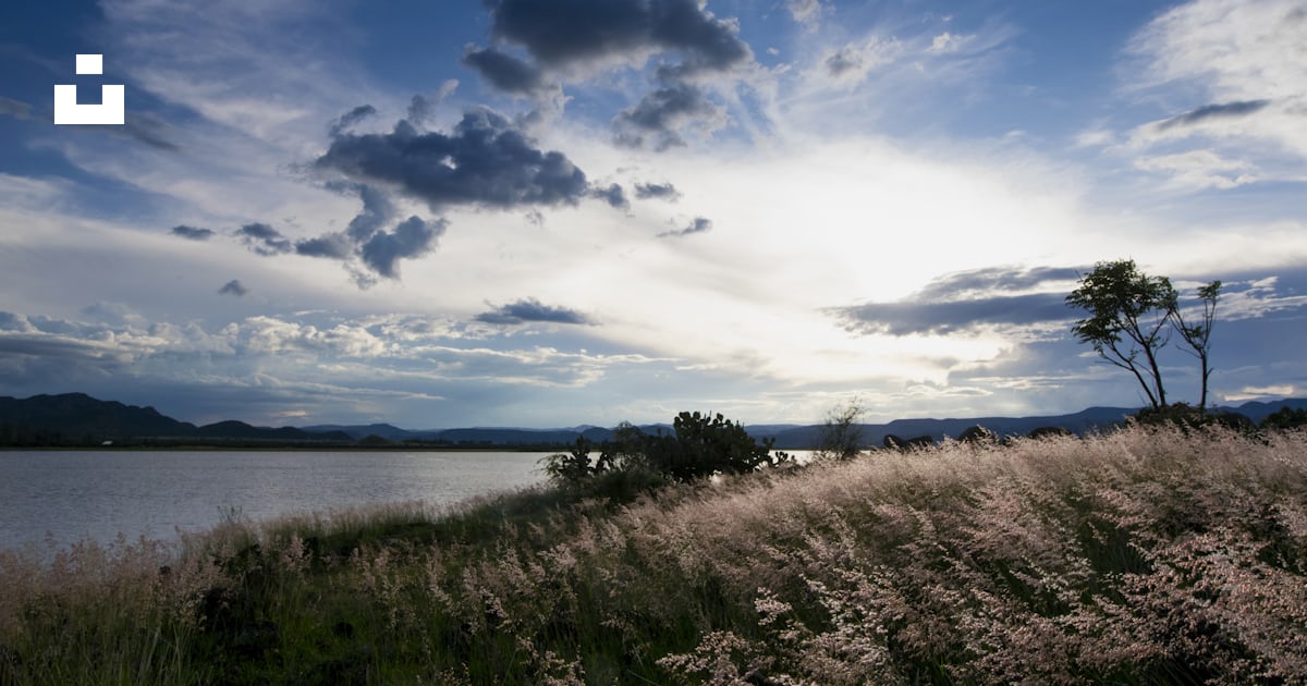 Green Grass Near Body Of Water Under Blue Sky And White Clouds During