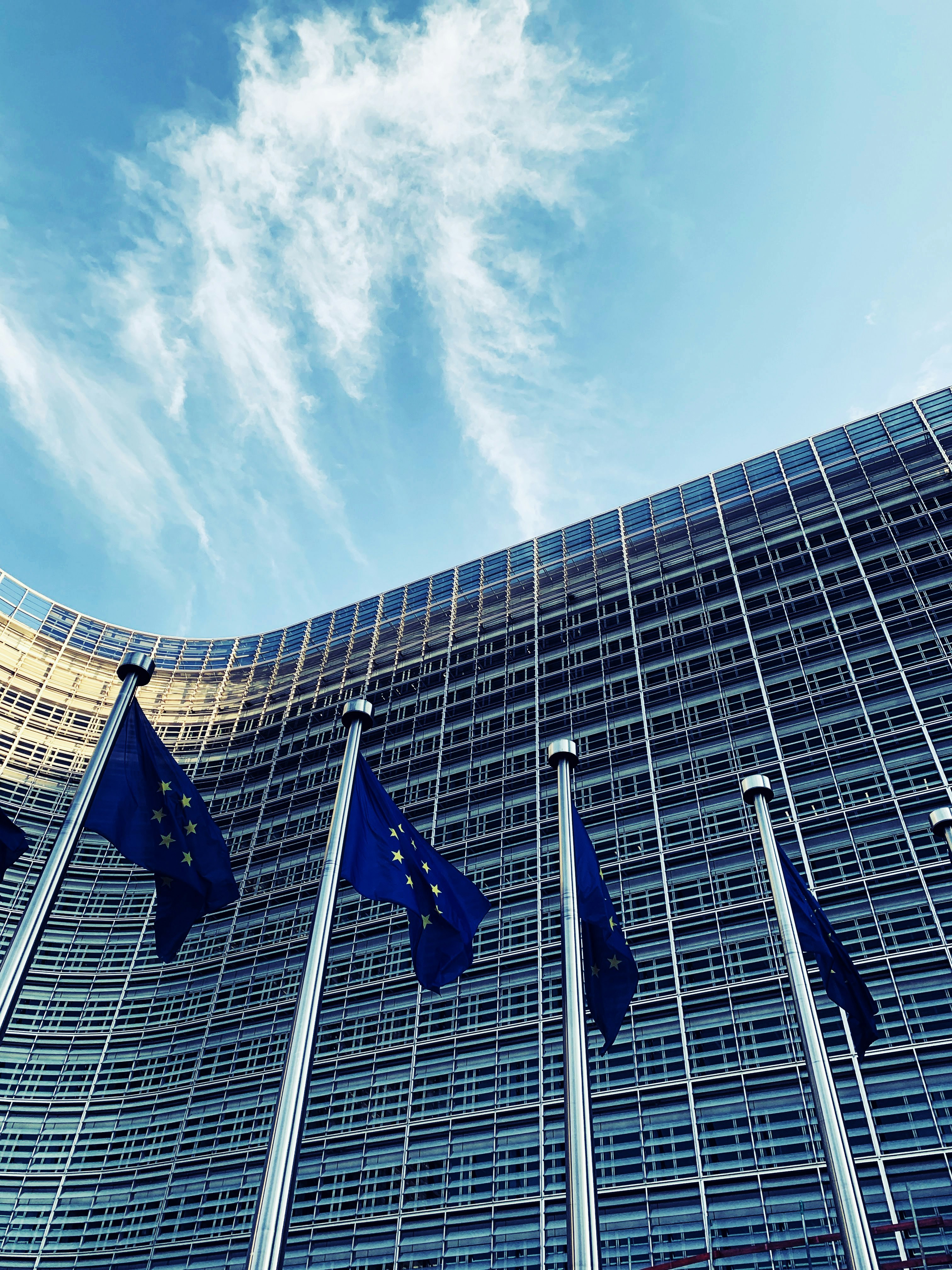 Blue and white flags on poles photo – Free Blue Image on Unsplash