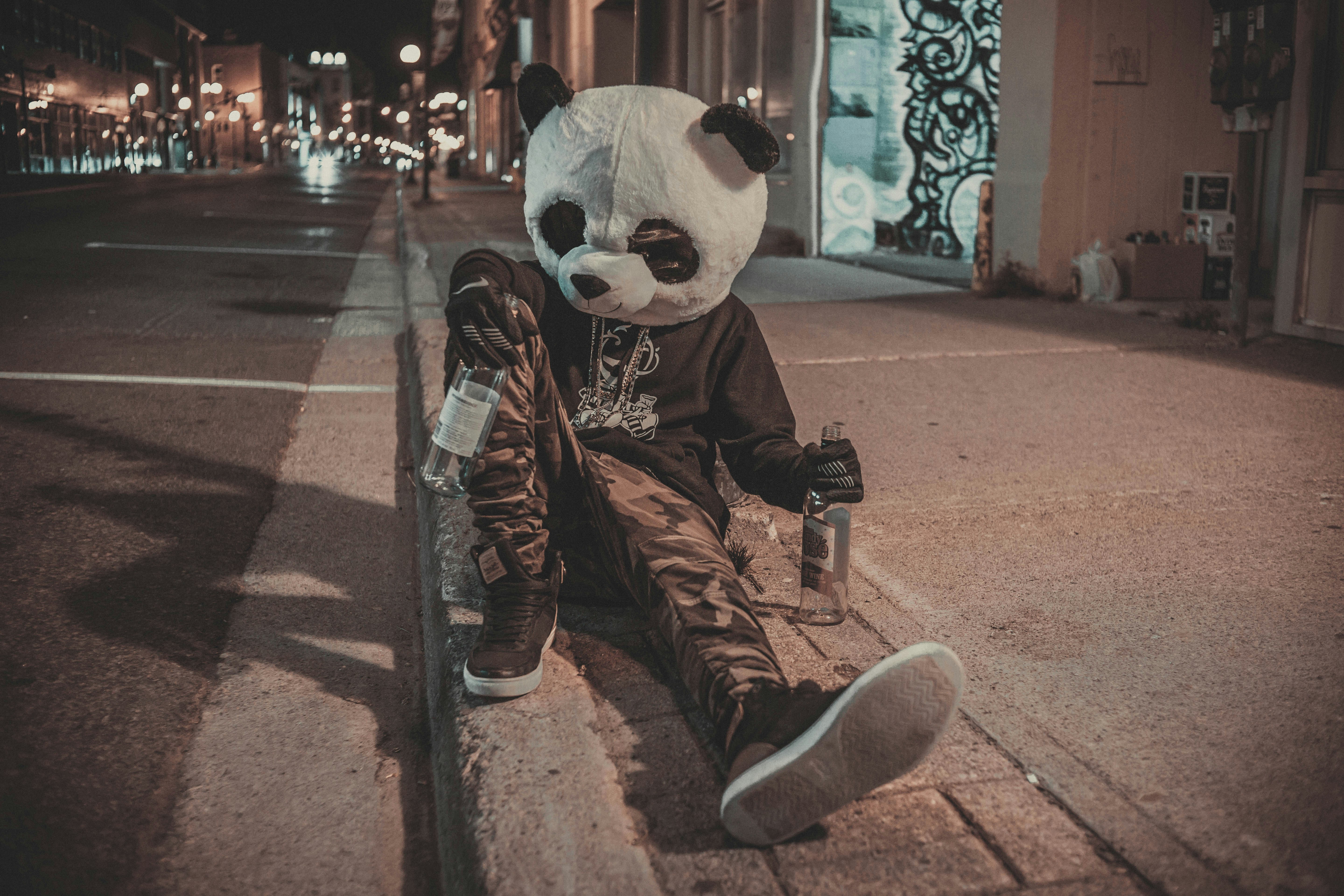 panda holding black dslr camera sitting on brown wooden bench