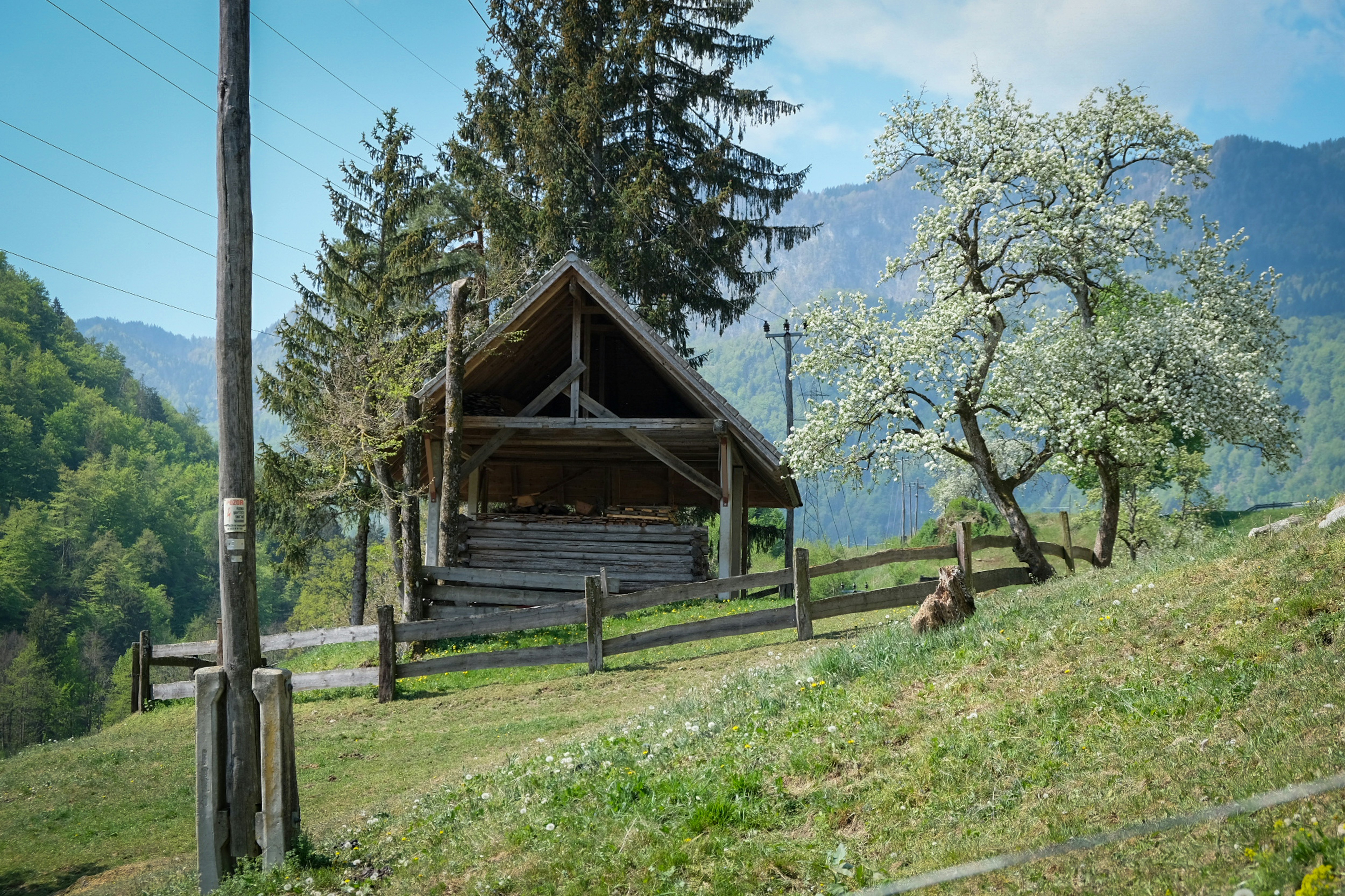 Wooden barn nestled in a lush alpine landscape with blooming tree and distant mountains.