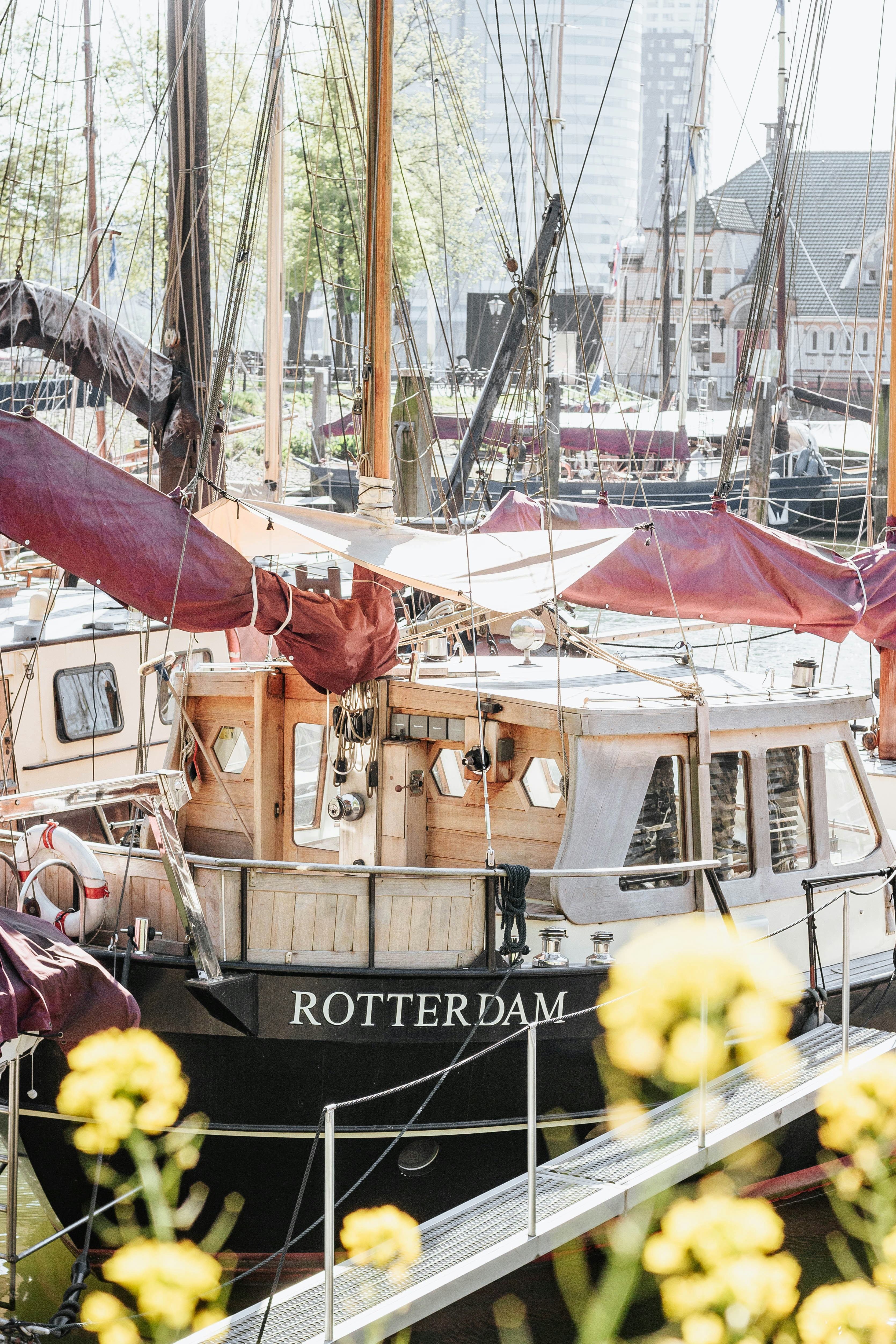 Rotterdam at Rest: A Wooden Sailboat Anchored Amid a Forest of Masts