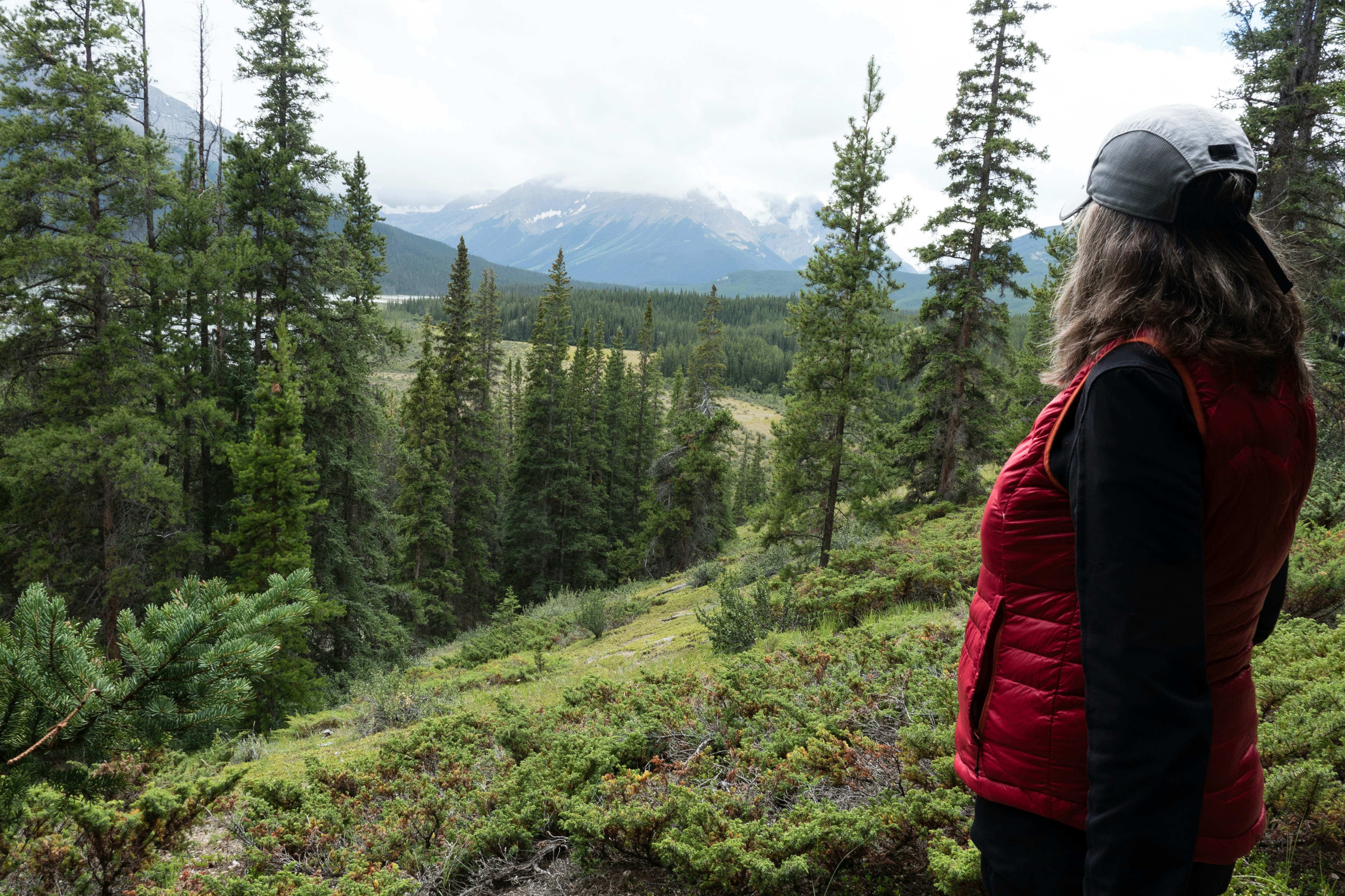 Woman looking at the mountain view | woman in red jacket standing on green grass field during daytime