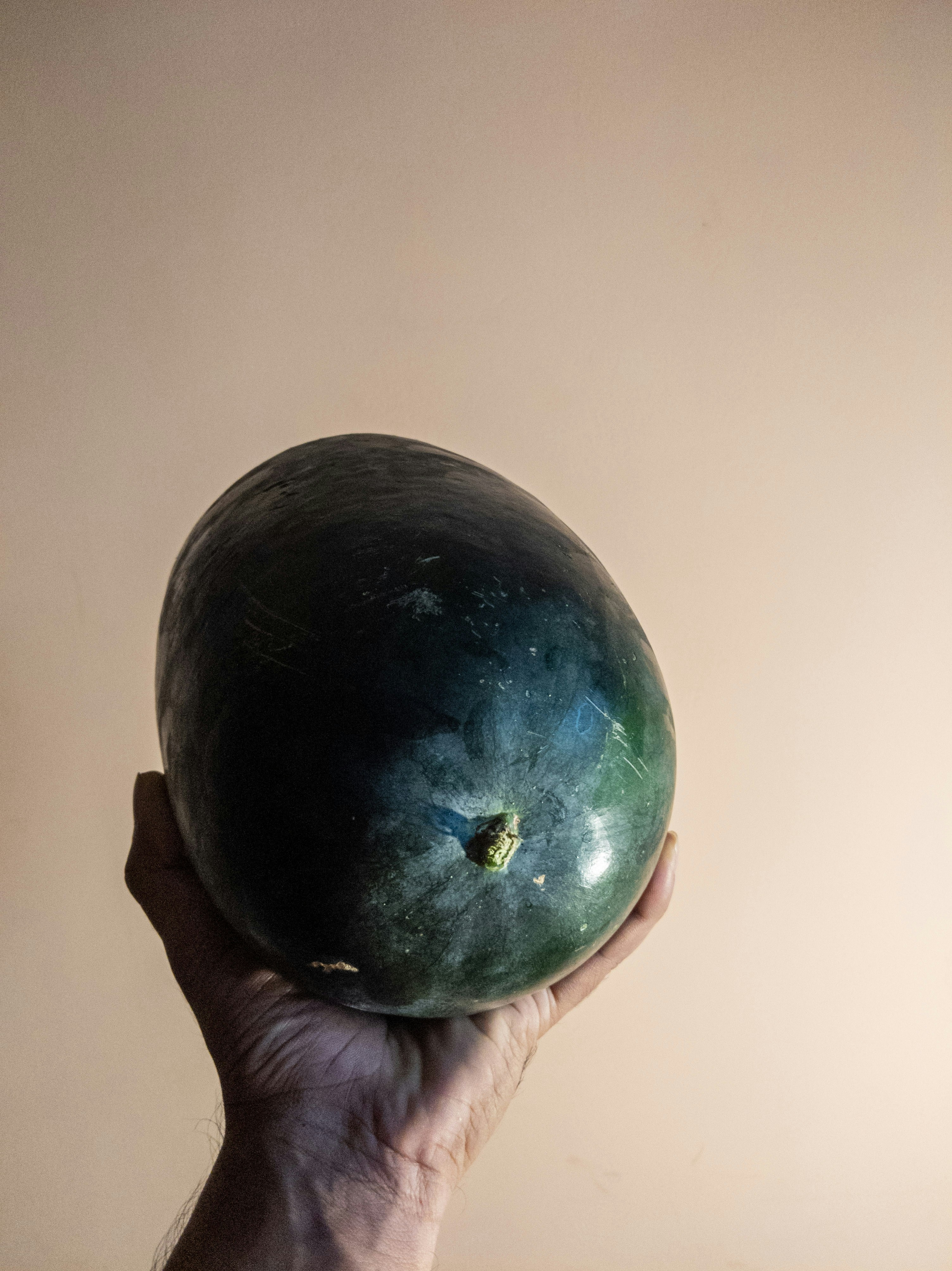 person holding green round fruit