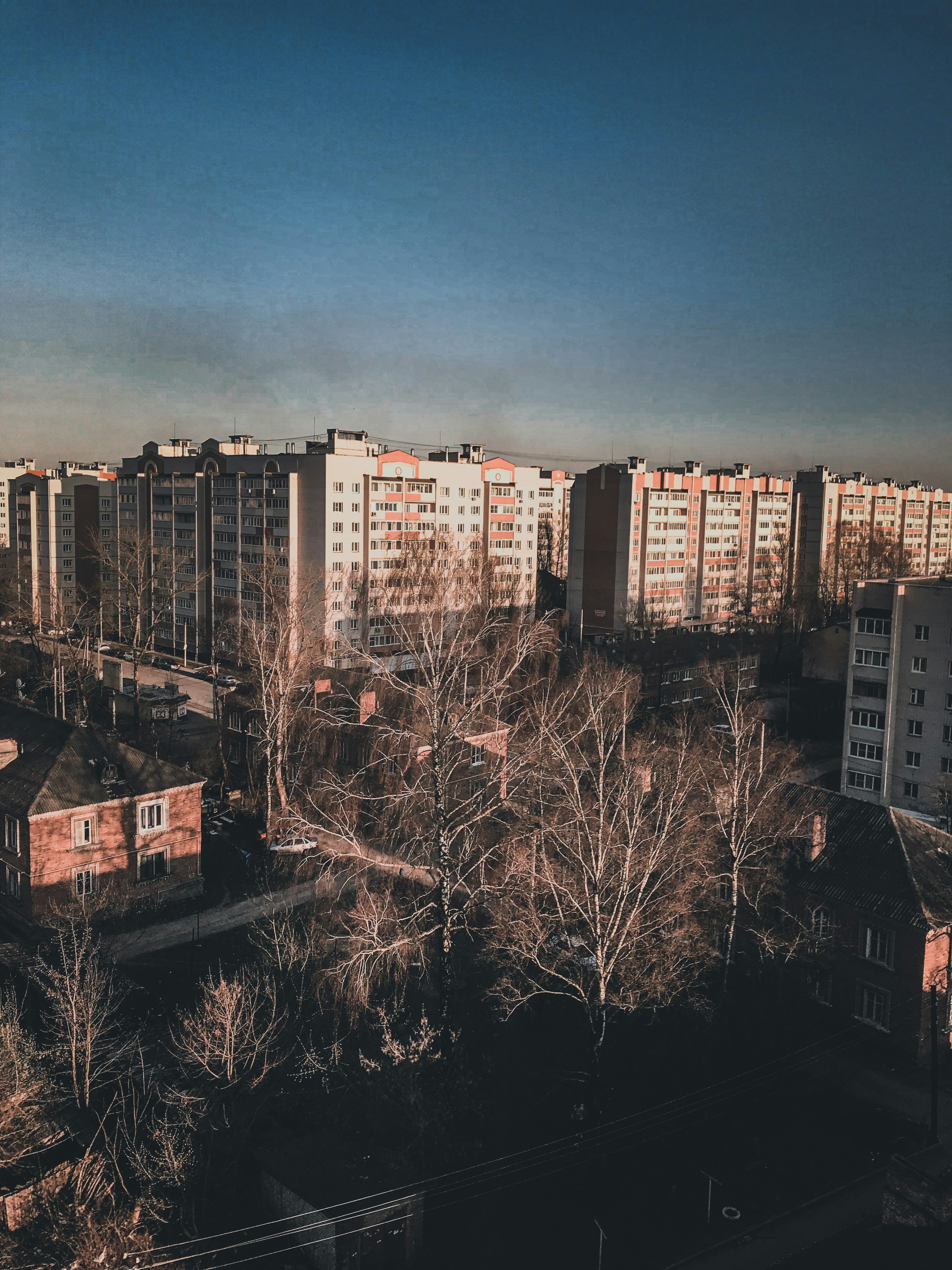 A panoramic view of residential buildings framed by bare trees under a twilight sky.