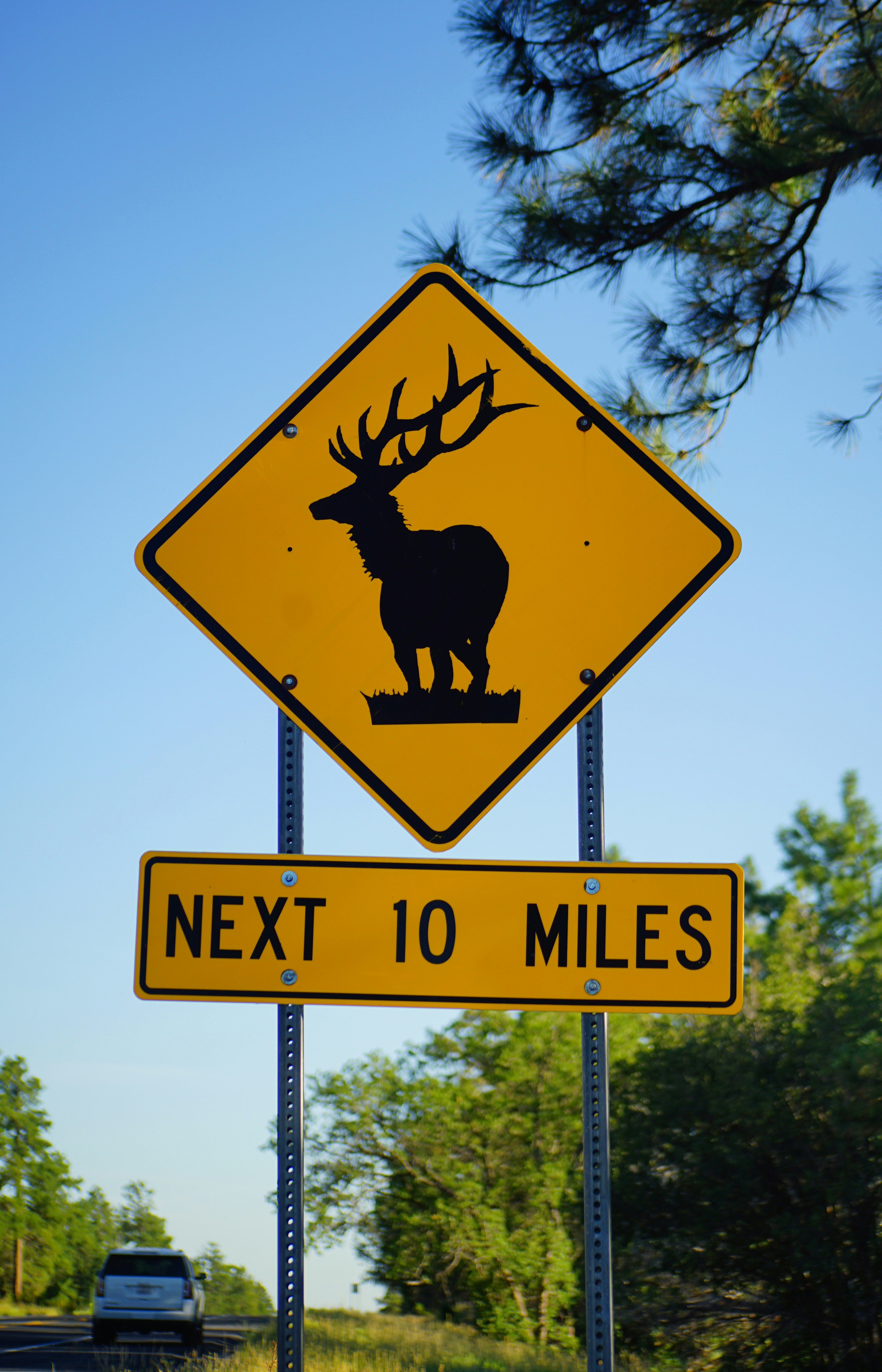 Caution Deer next 10 Miles 