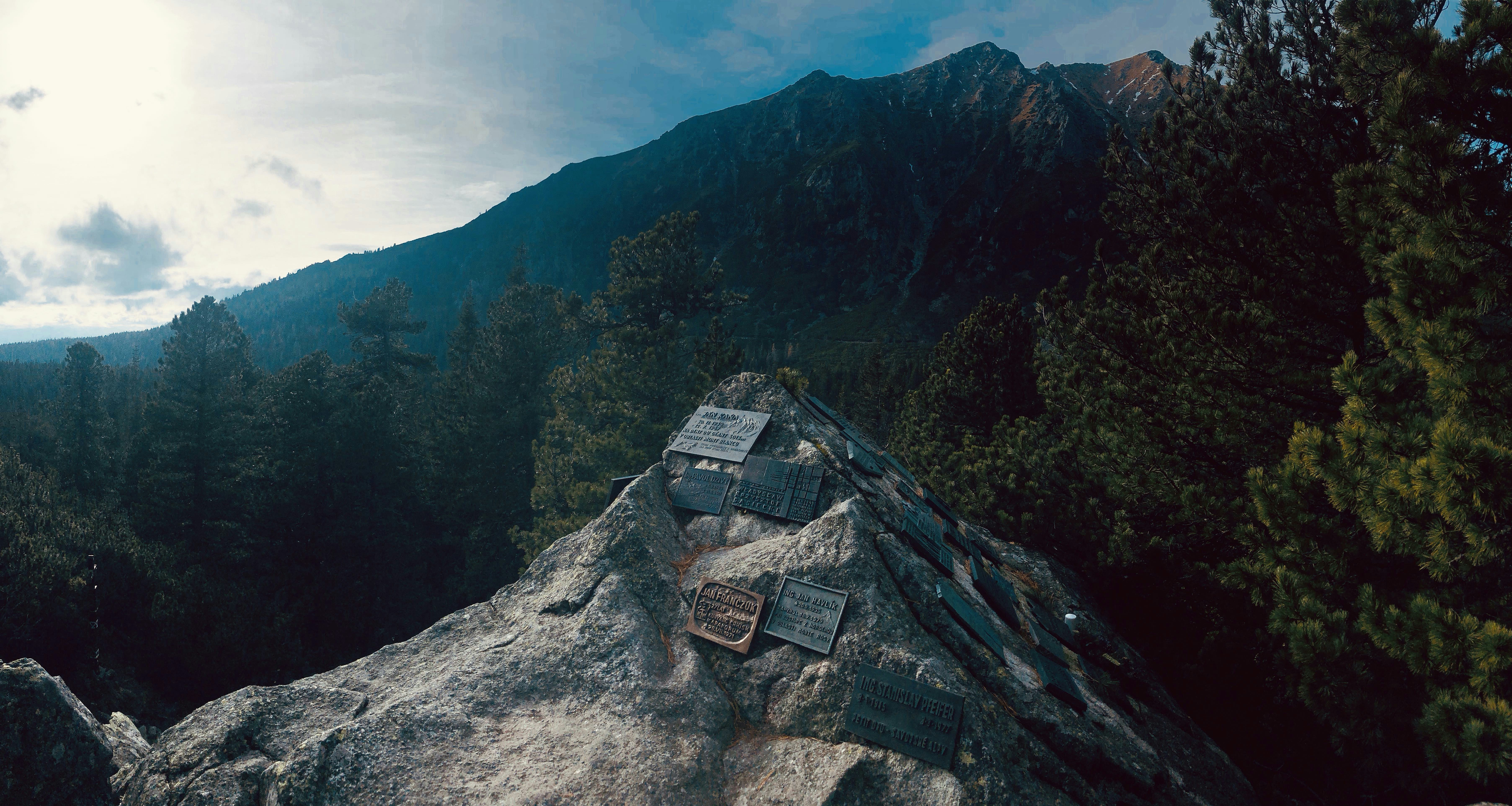 Weathered Waymarks on a Summit Spire Amid Pine Ridge