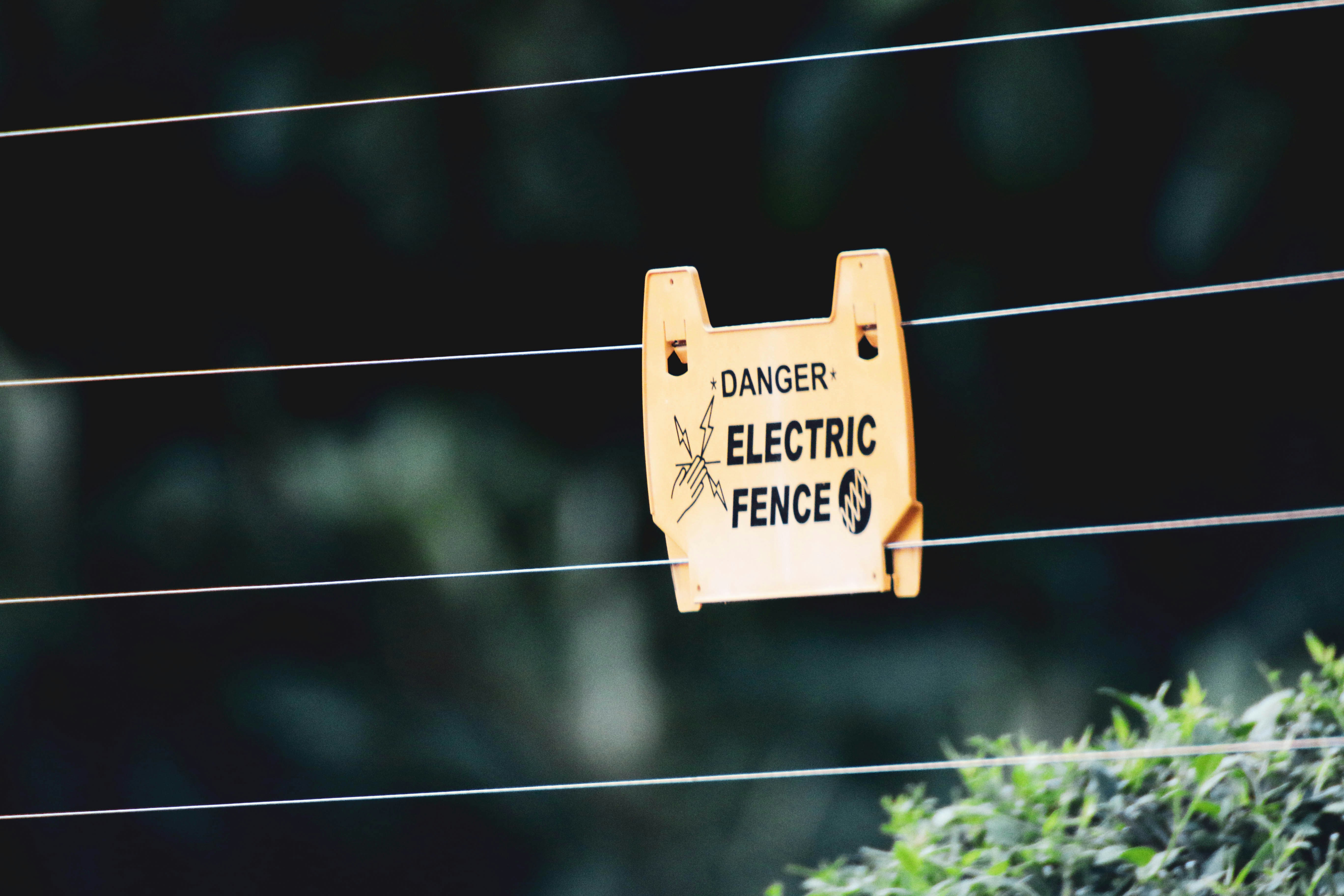 A yellow warning sign indicating an electric fence, suspended between two wires against a blurred green backdrop.