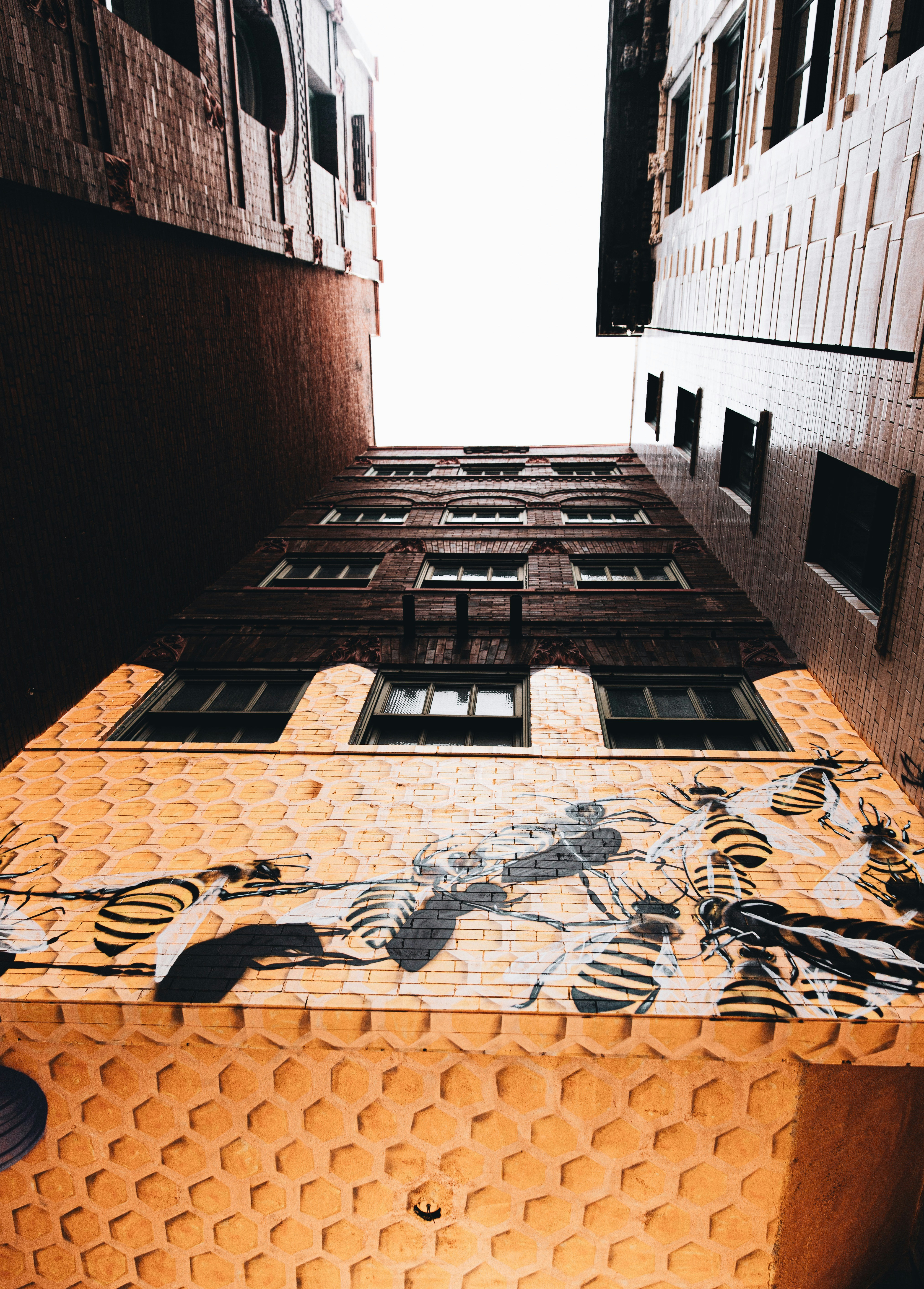 Hexagonal Honeywall and Skeleton Graffiti Rise Between Tall Brick Towers