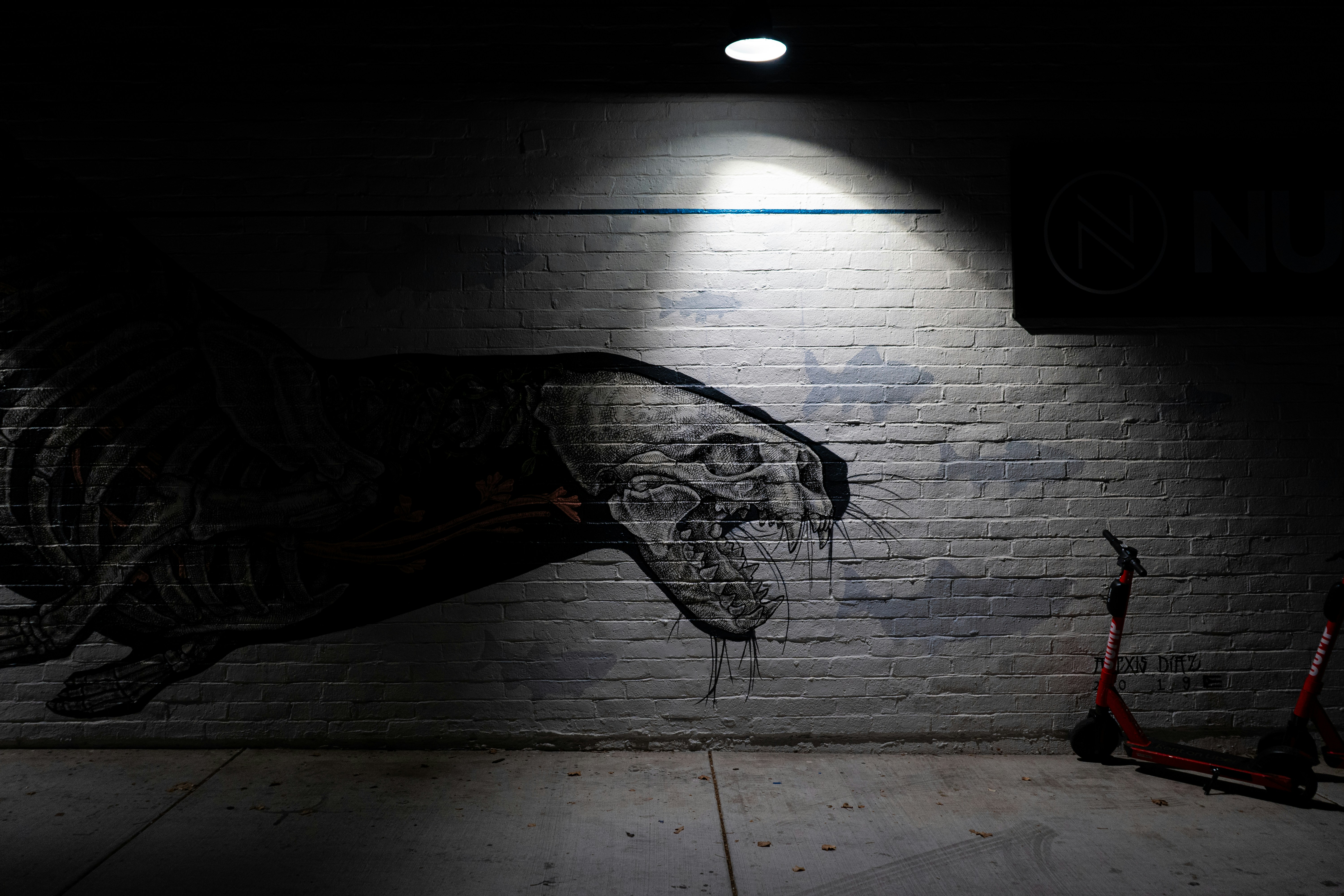 Midnight Graffiti: A snarling mural under a single halo of light