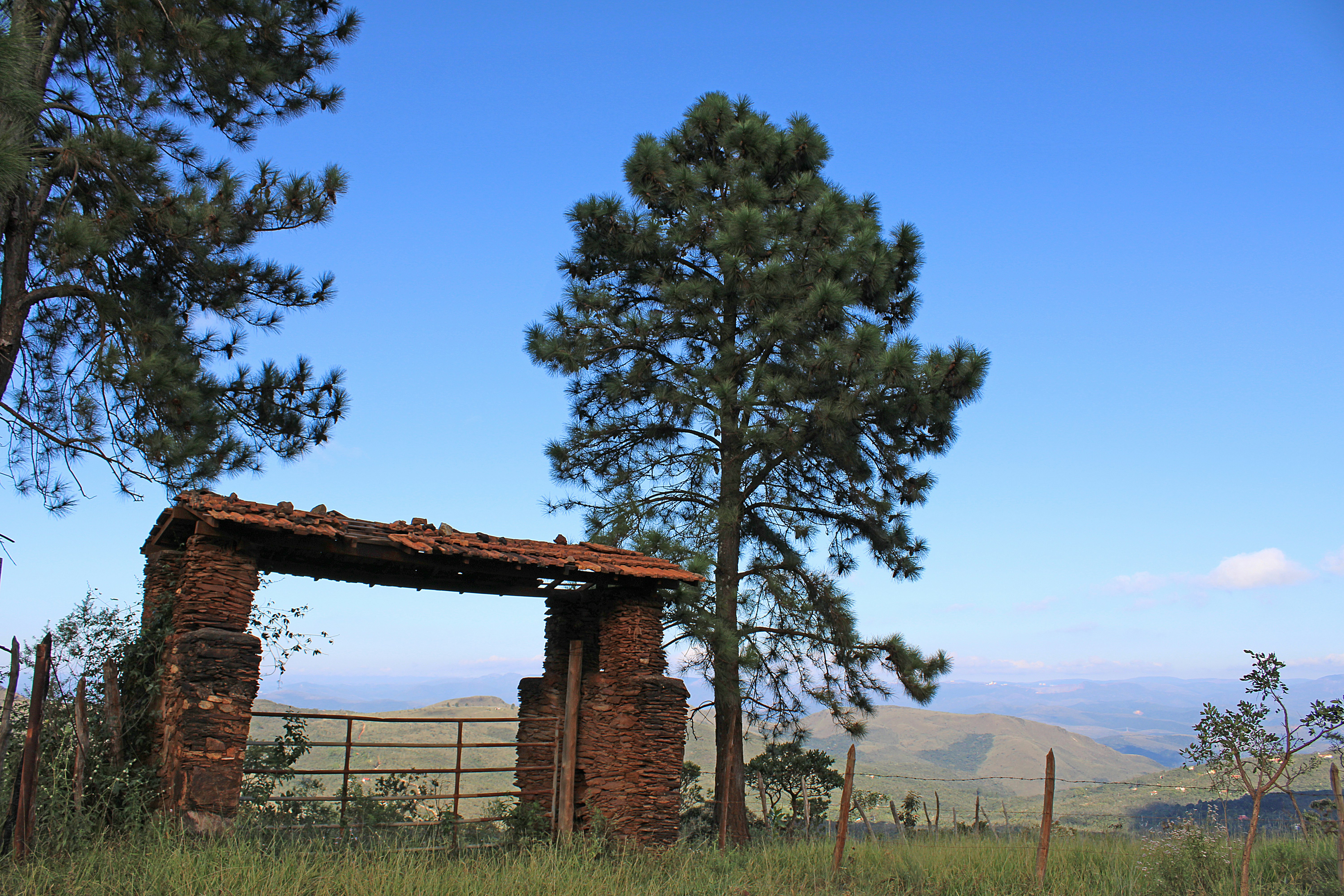 Valla de madera marrón en campo de hierba verde durante el día foto ...