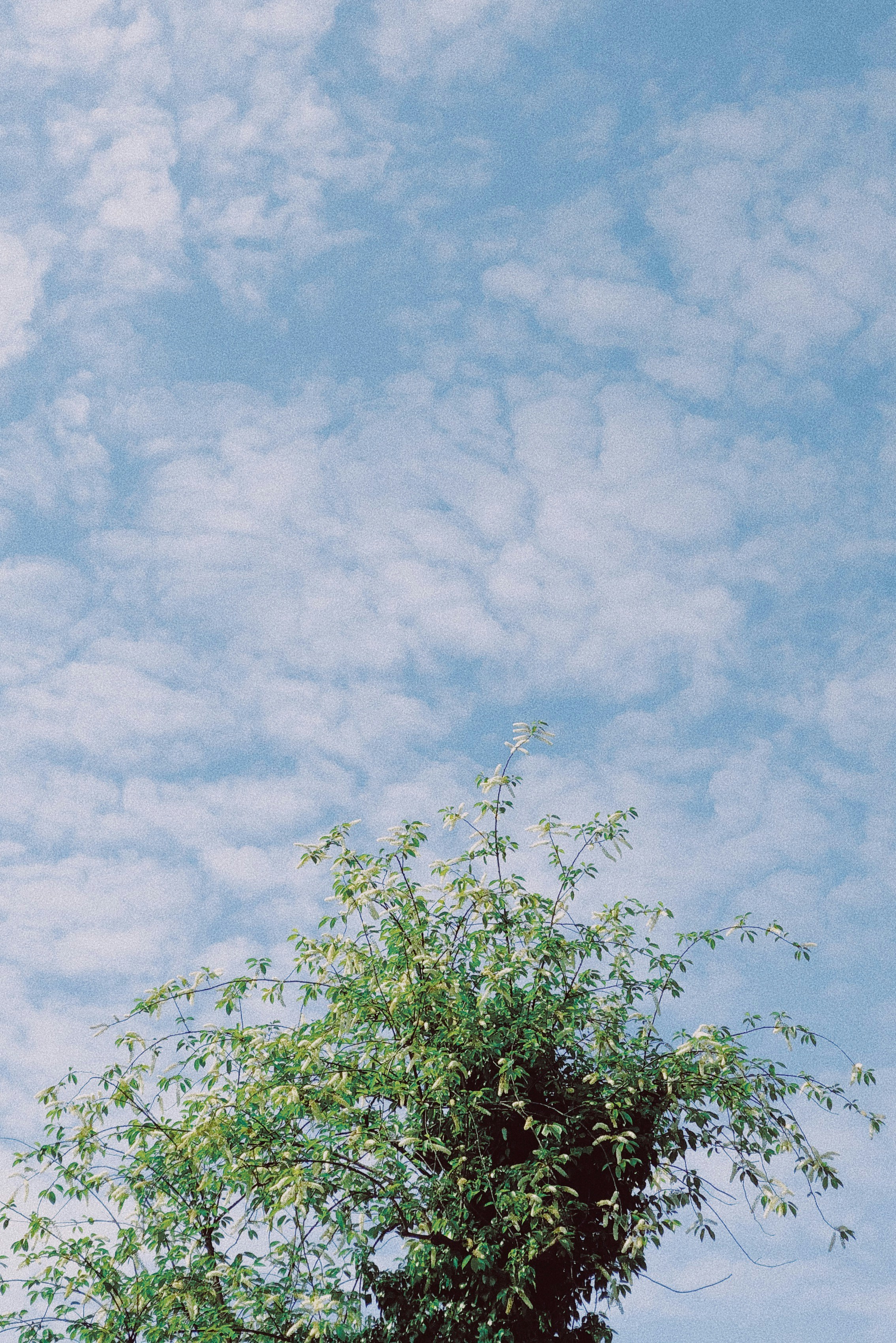 Photo by london.nanzhi with Apple iPhone X