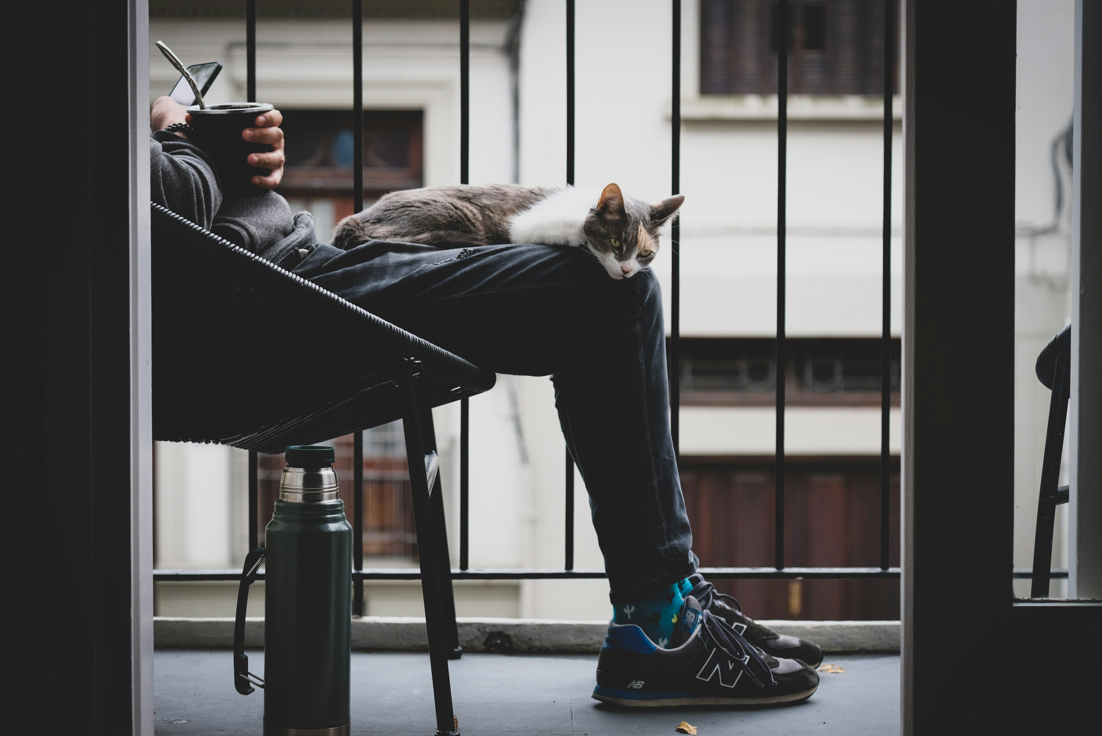 Catnap on the Balcony: Quiet Minutes with Shoes and Steam Bottle