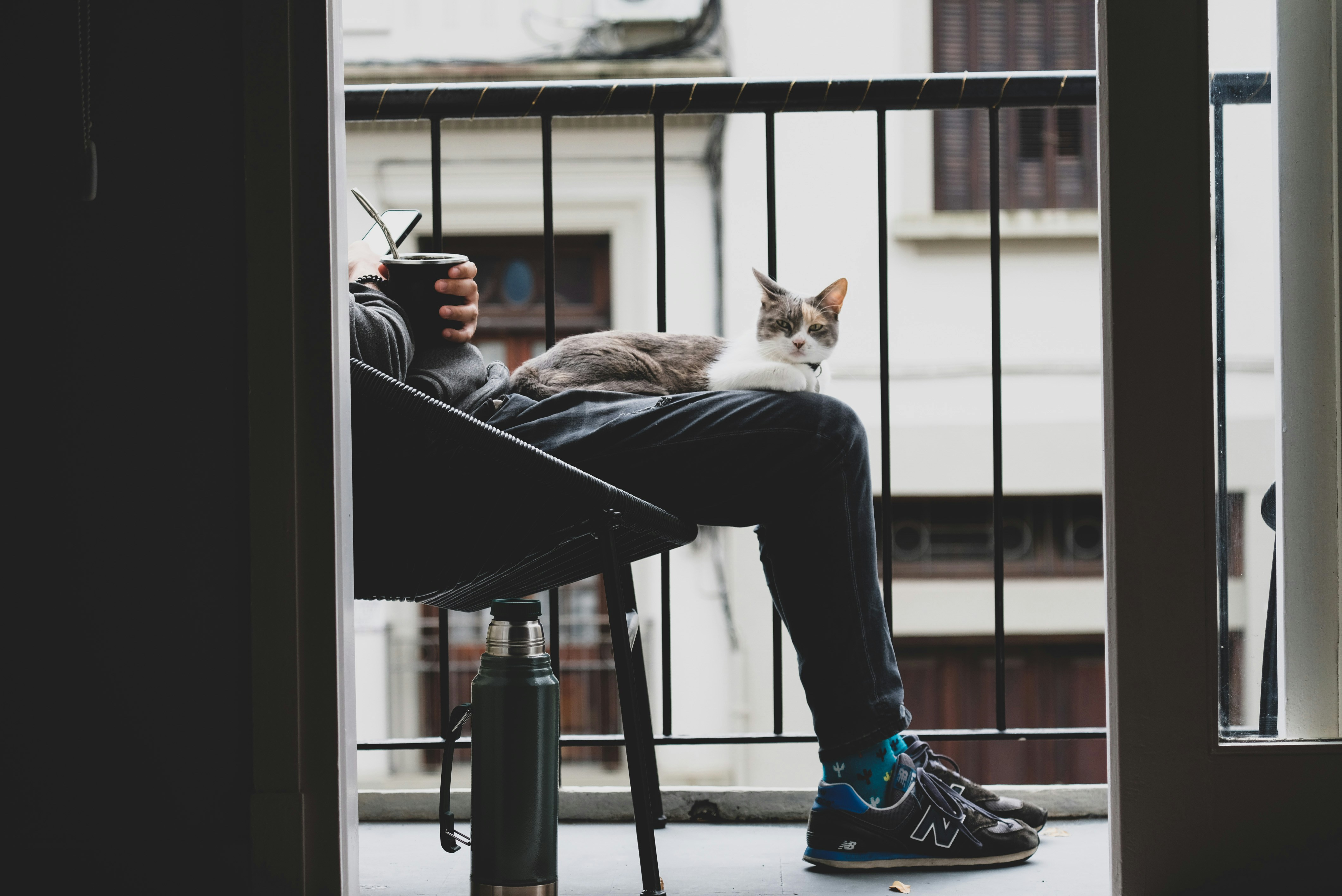 Cozy Balcony Moments with Feline Friend