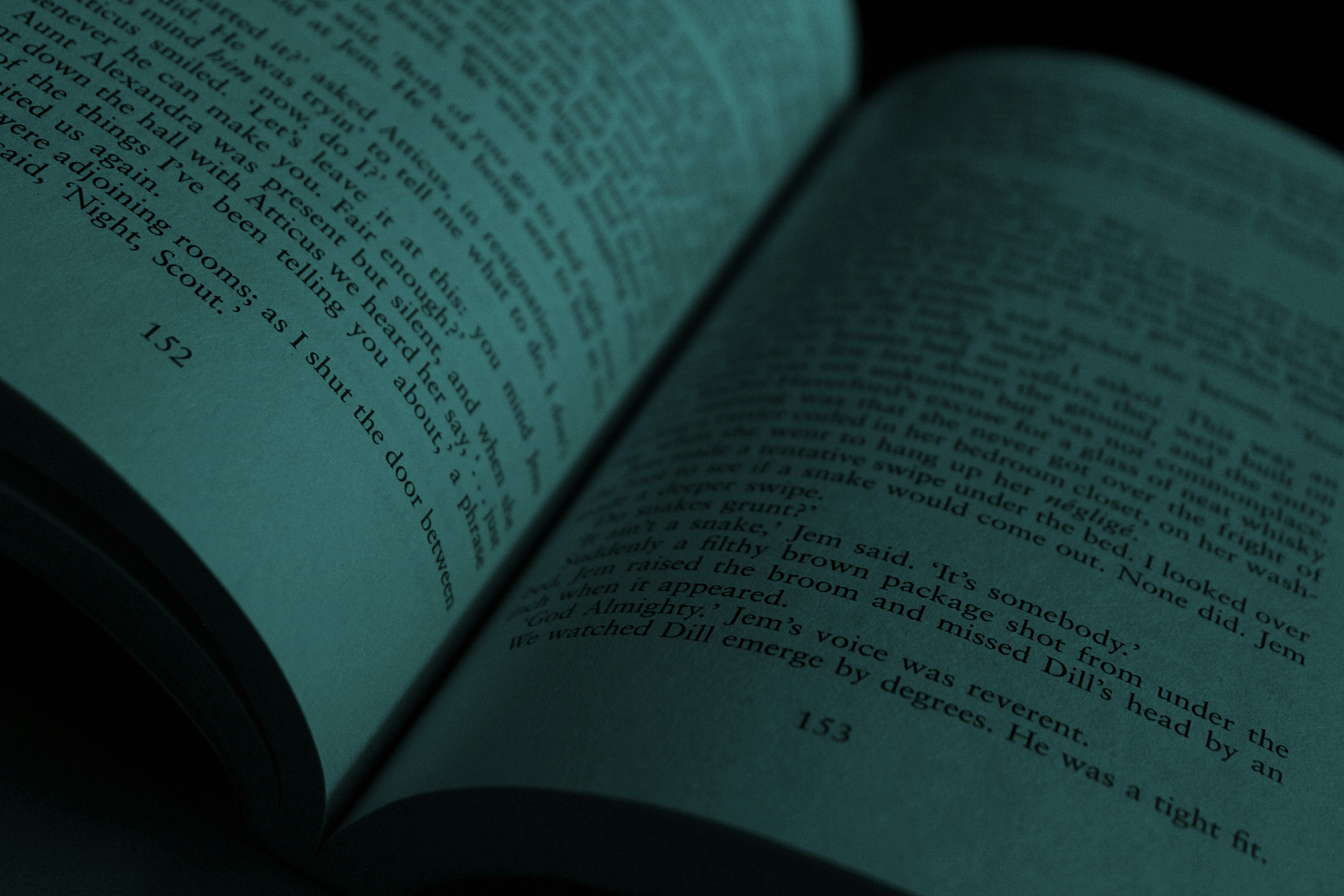 Esther (@xylylpyx) | Unsplash Photo Community