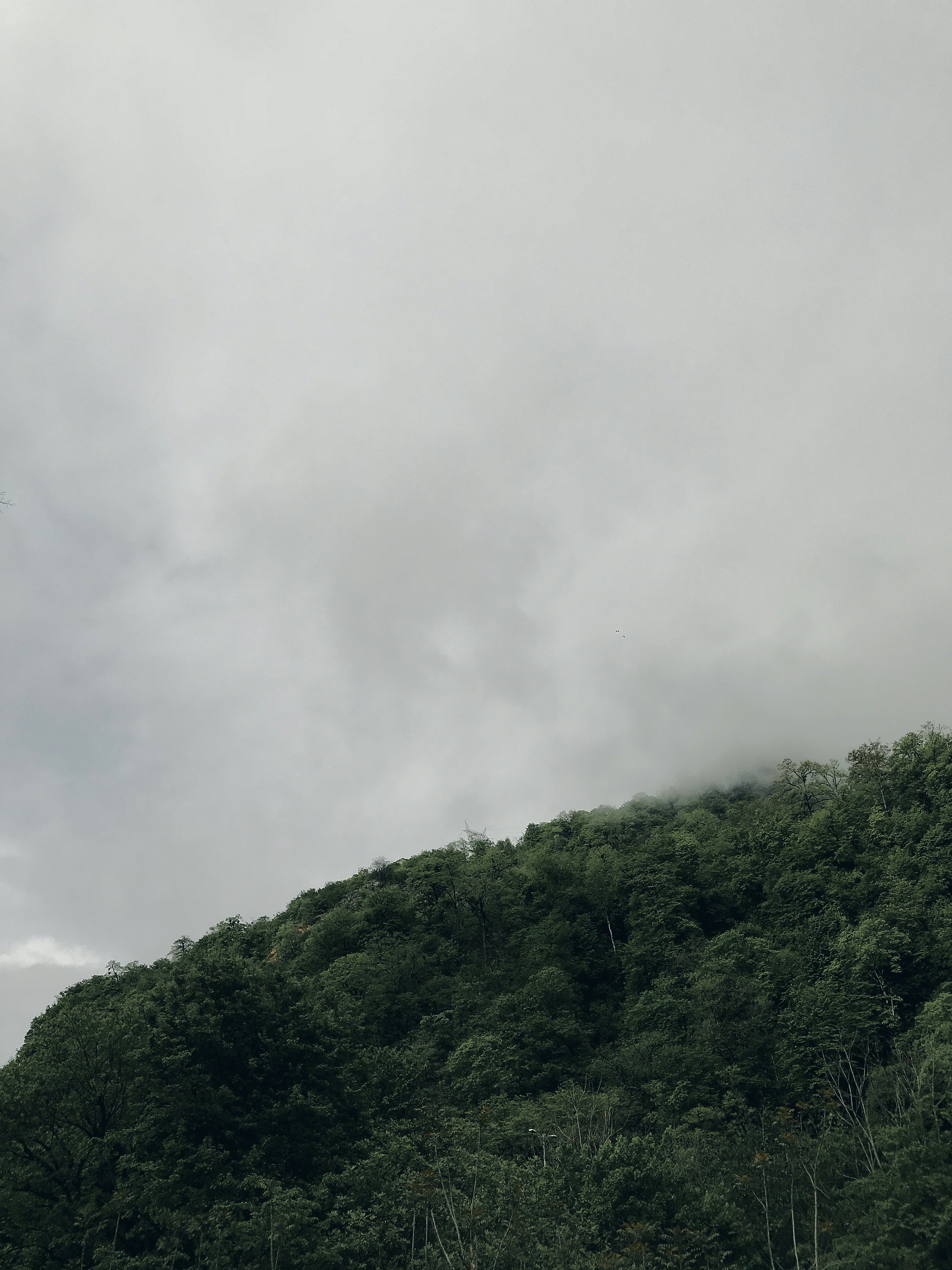 Lush green hills shrouded in a gentle mist, blending seamlessly with the overcast sky. The scene evokes a sense of tranquility and mystery.