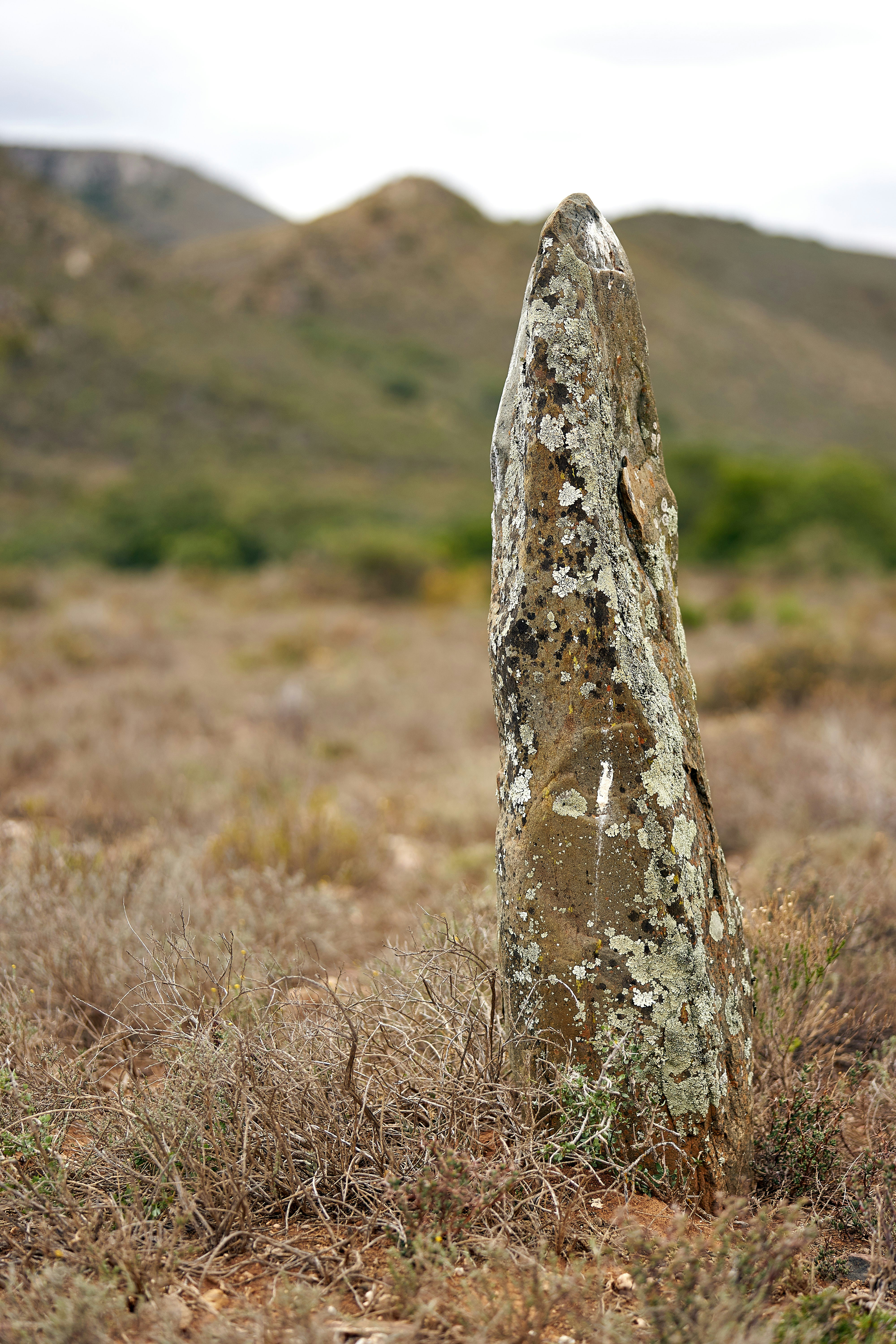 Weathered Monolith Standing Alone in a Quiet Moorland