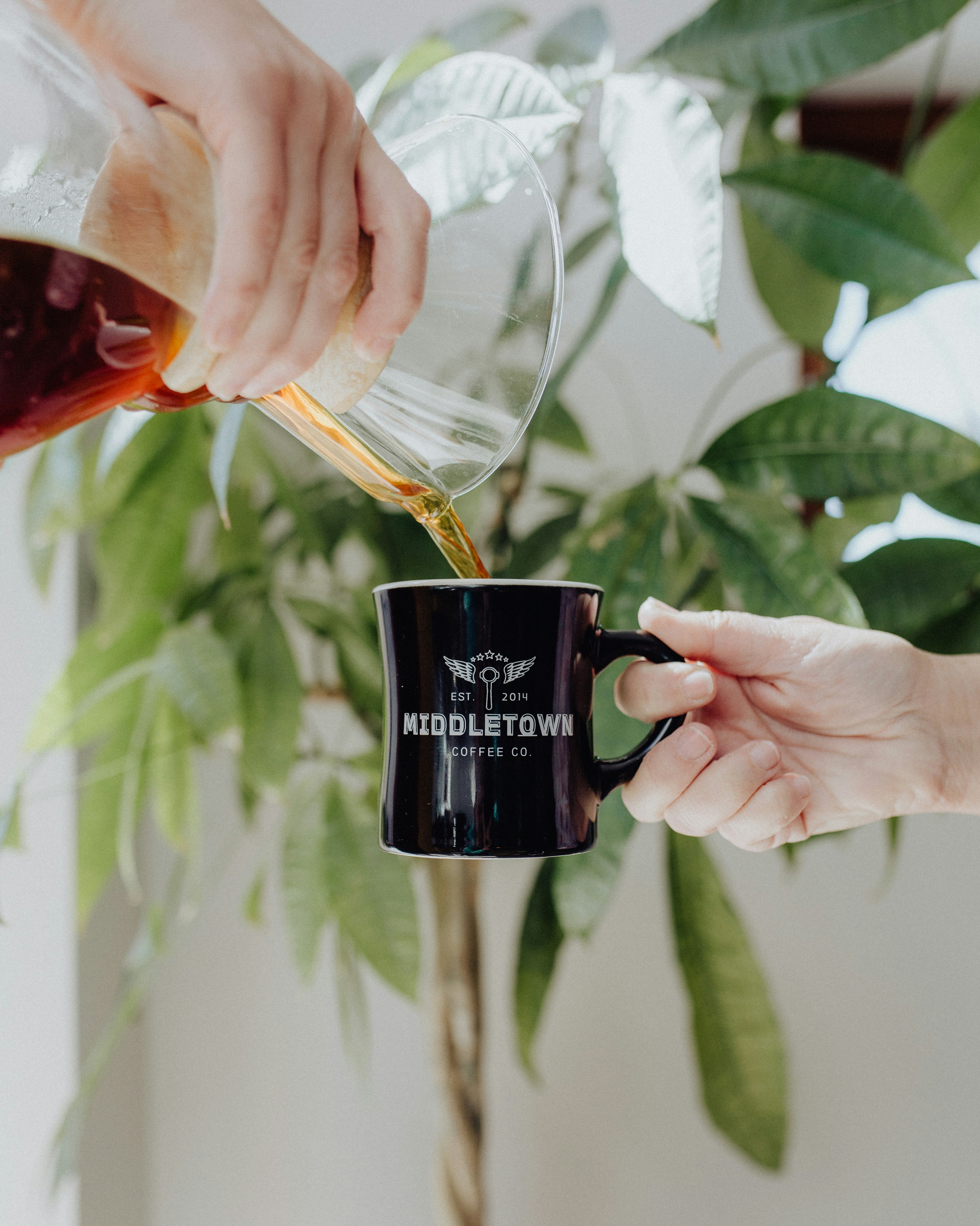 Hands pouring coffee into a black mug in front of a lush green plant.