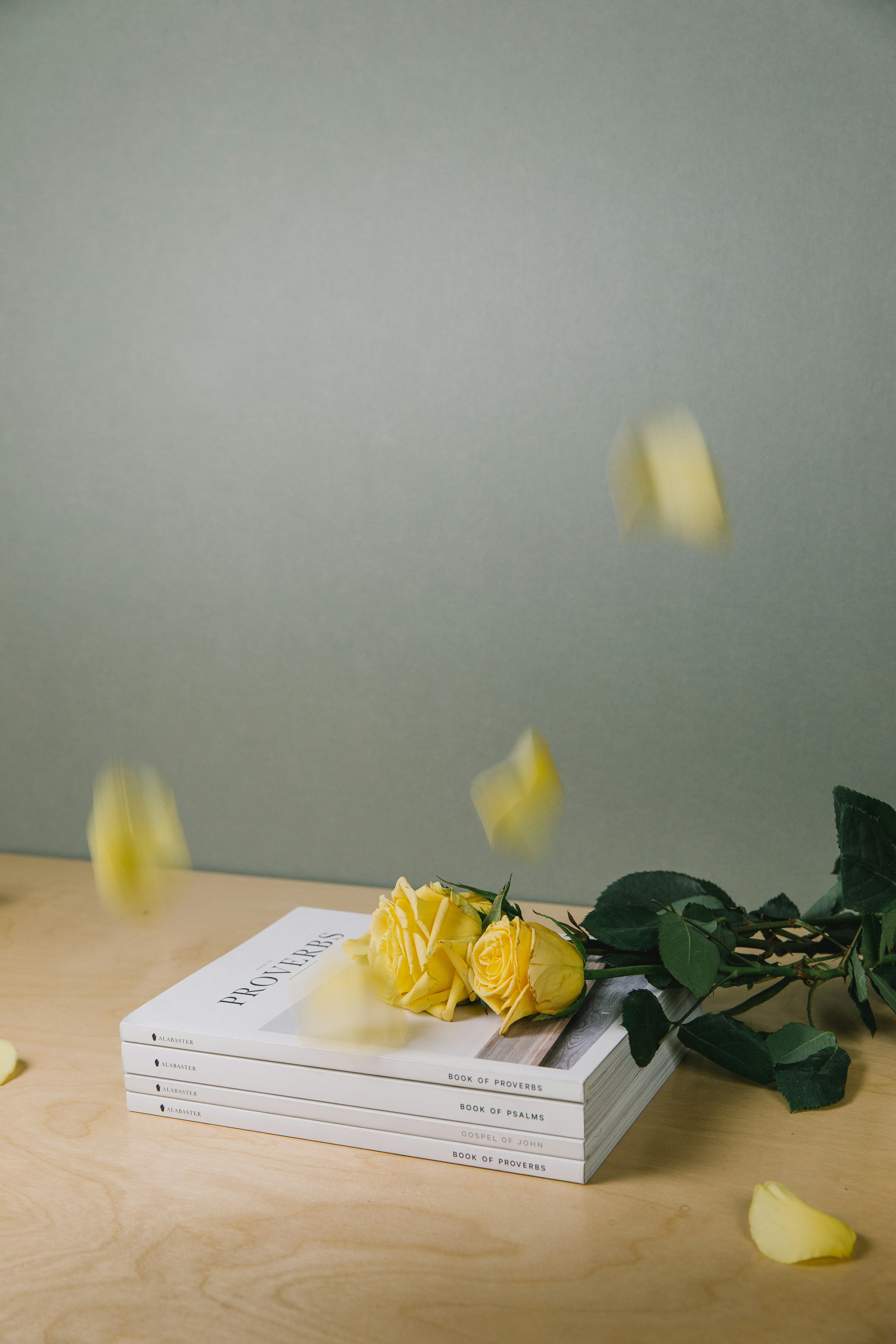 Yellow Roses on a Desk: Floating Petals Above a Quiet Still Life