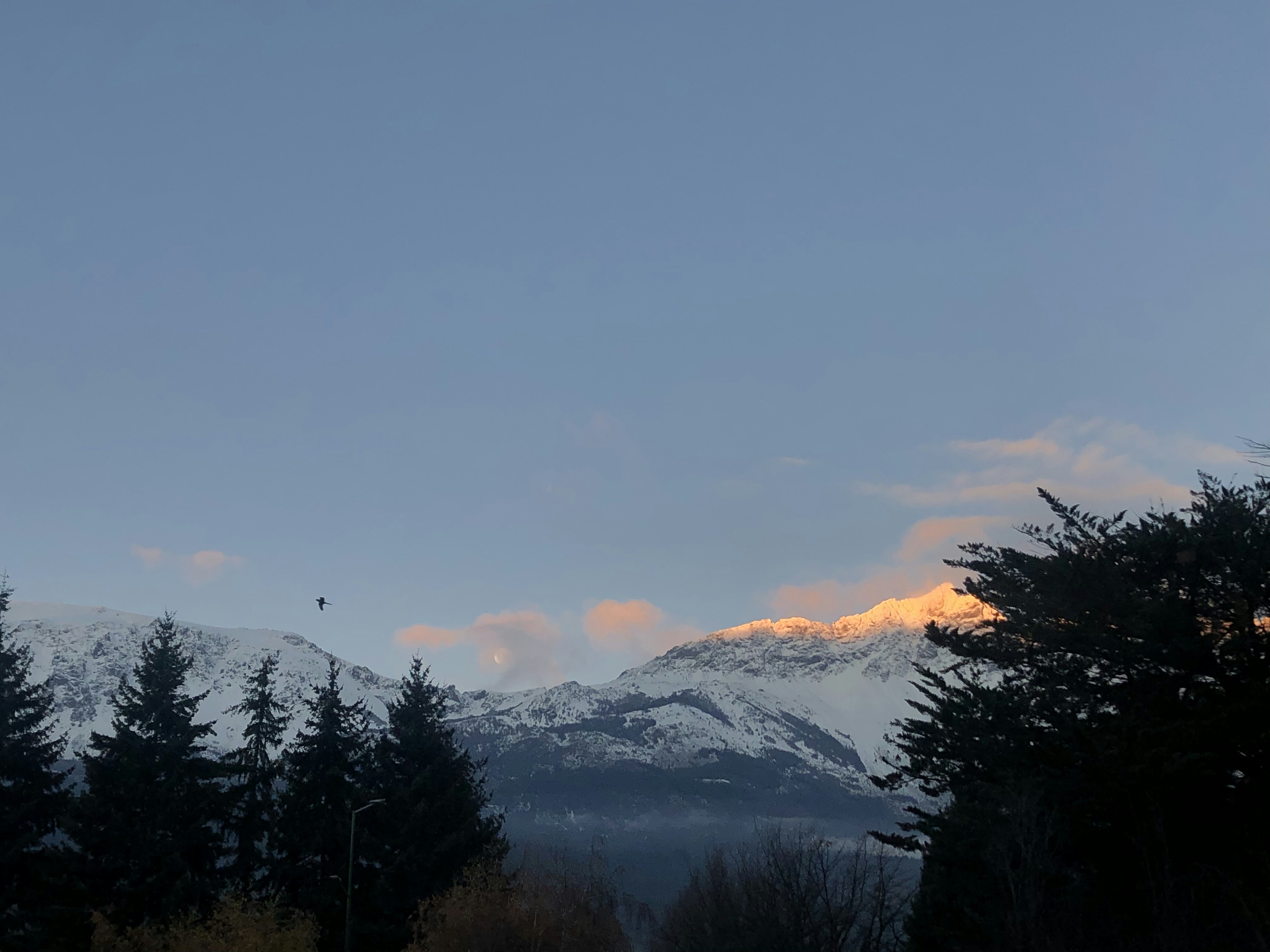 Snow-capped mountains with a hint of sunset glow against a clear sky, framed by silhouetted trees.