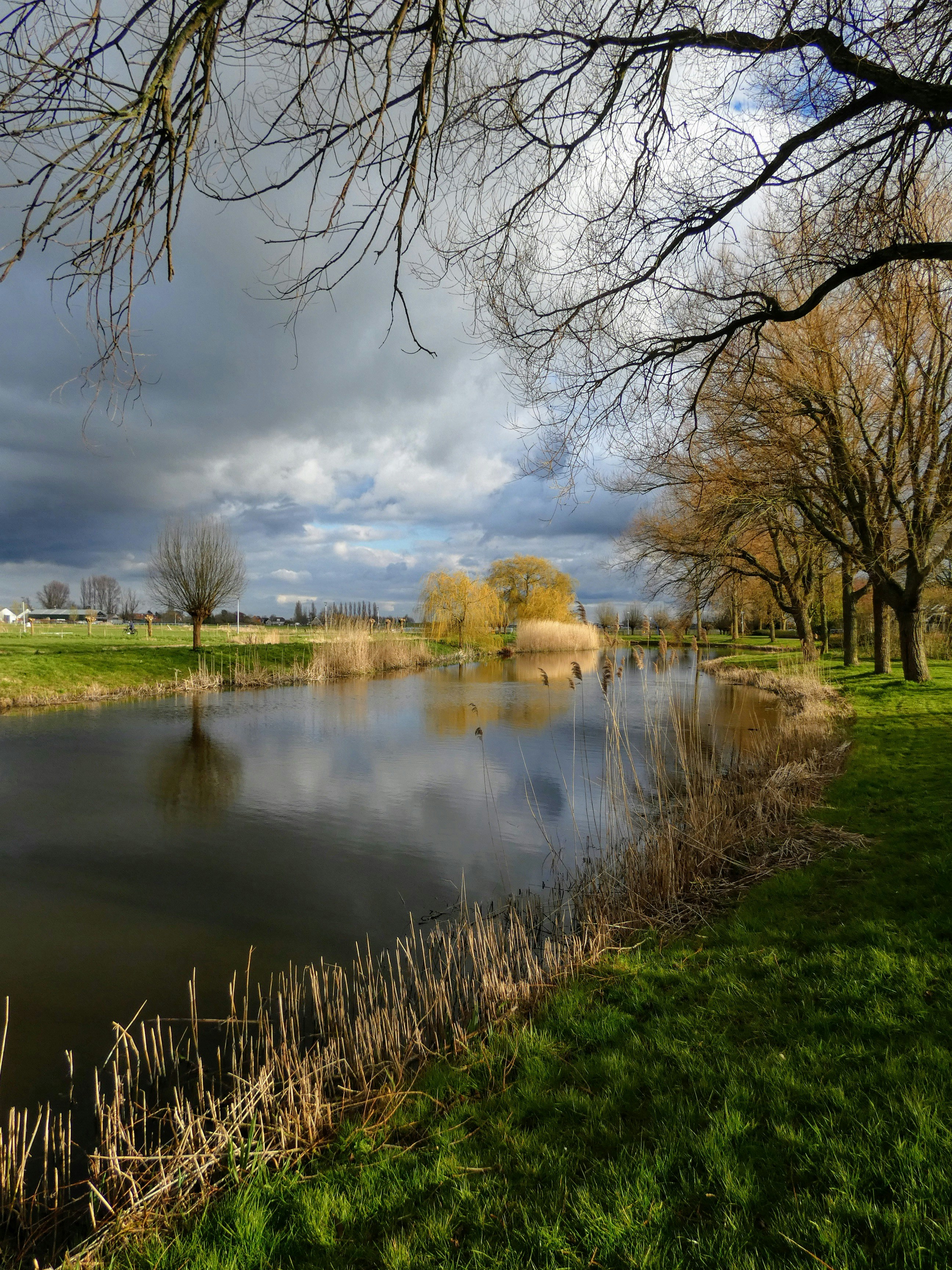 A tranquil river scene framed by gently swaying trees and lush grass, reflecting the moody sky above. Soft light enhances the peaceful ambiance.