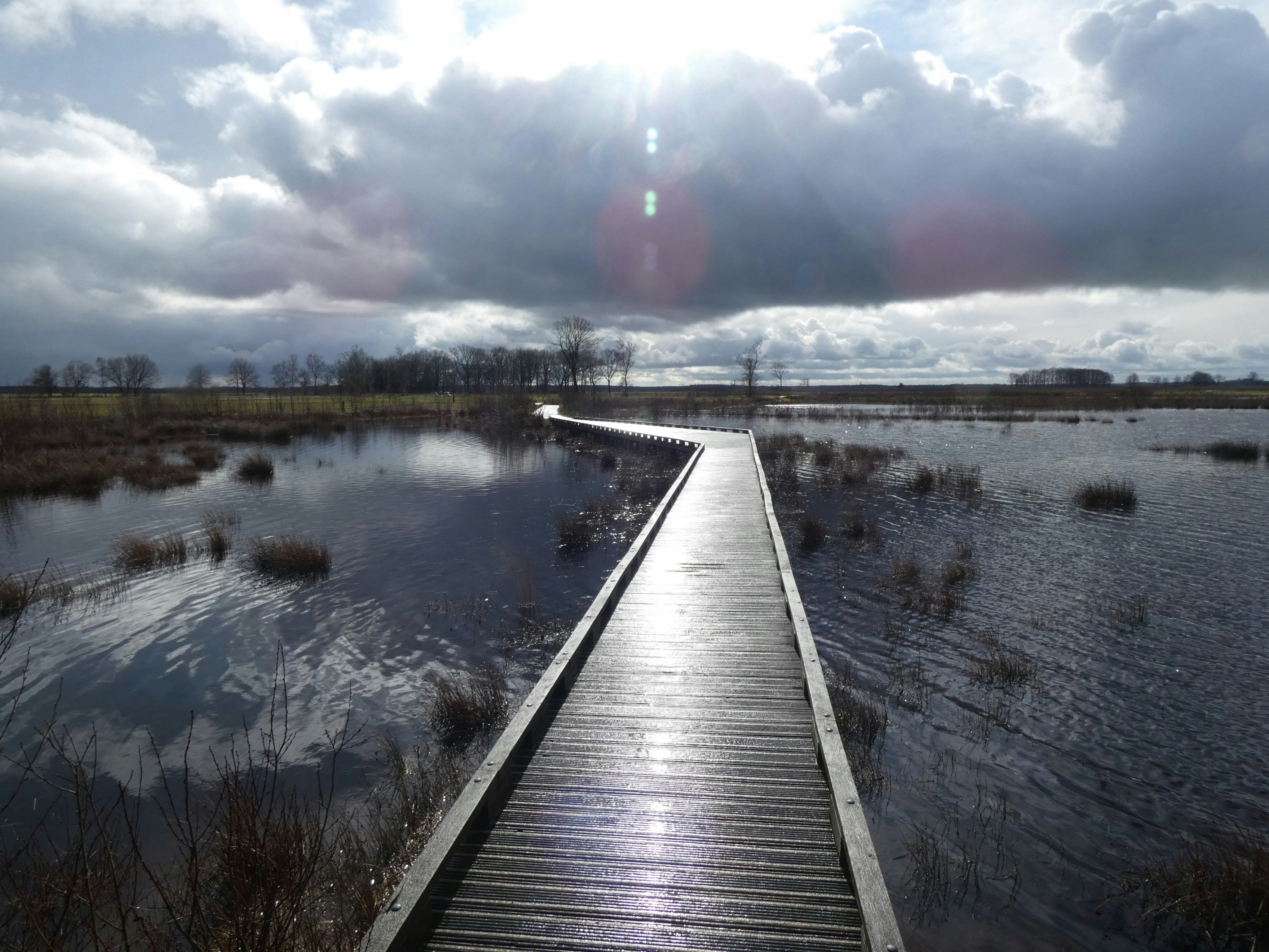 Wooden boardwalk winding through a wetland, surrounded by water and under a dramatic sky filled with clouds. The scene captures the tranquility of nature.