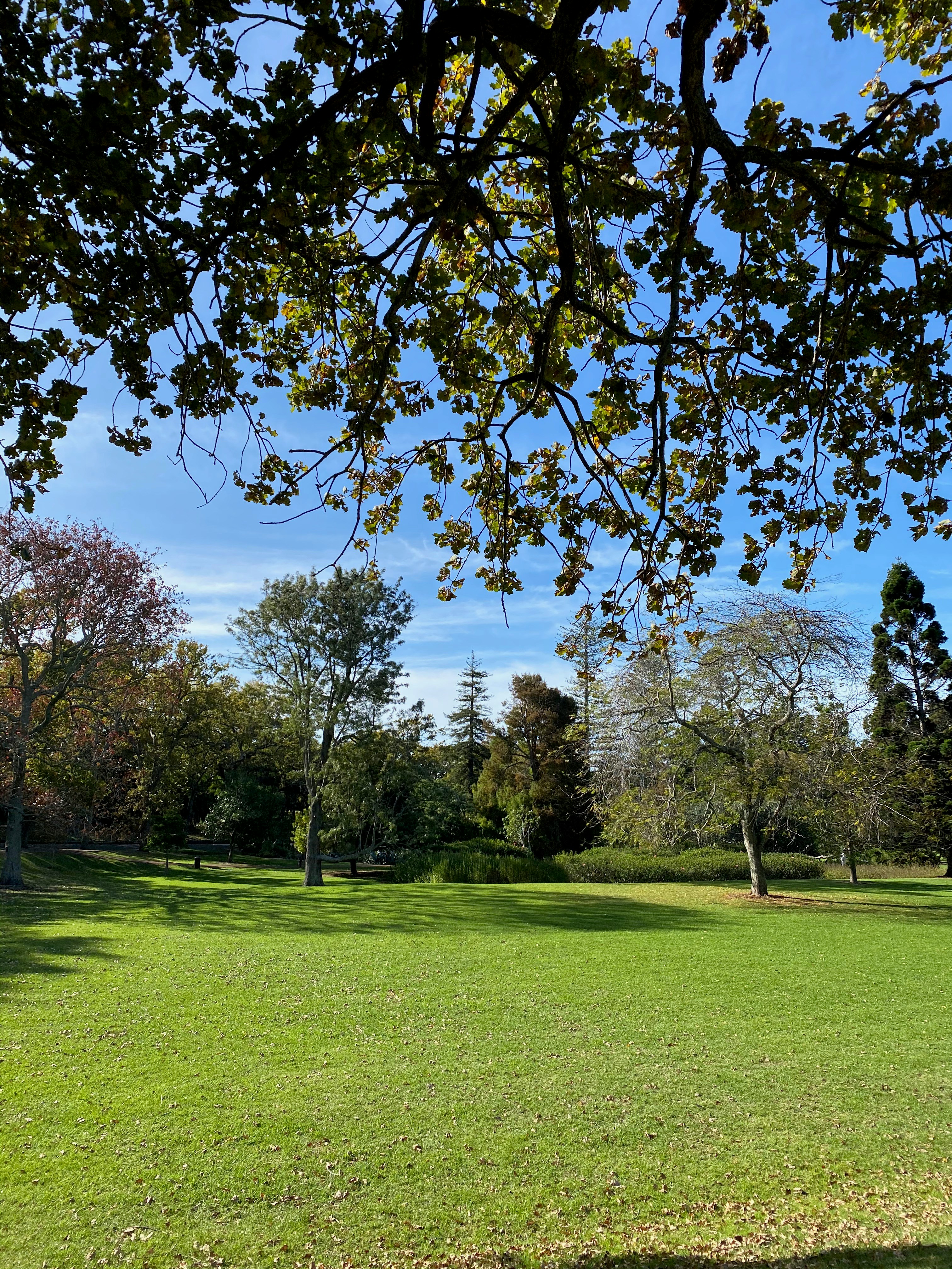 Photo by Tommi Mock with Apple iPhone 11 Pro Max