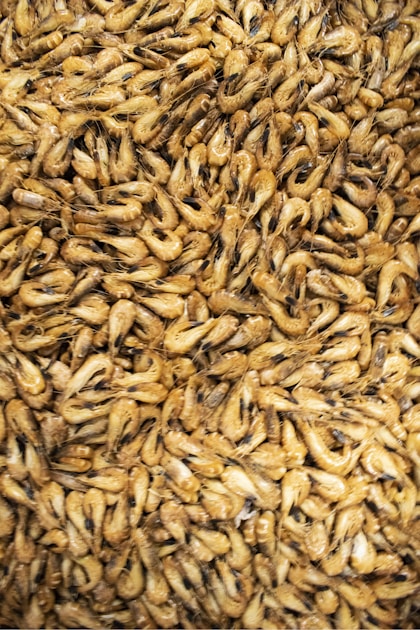 Challenges to Global Food Security and Solutions | The Agricultural ...