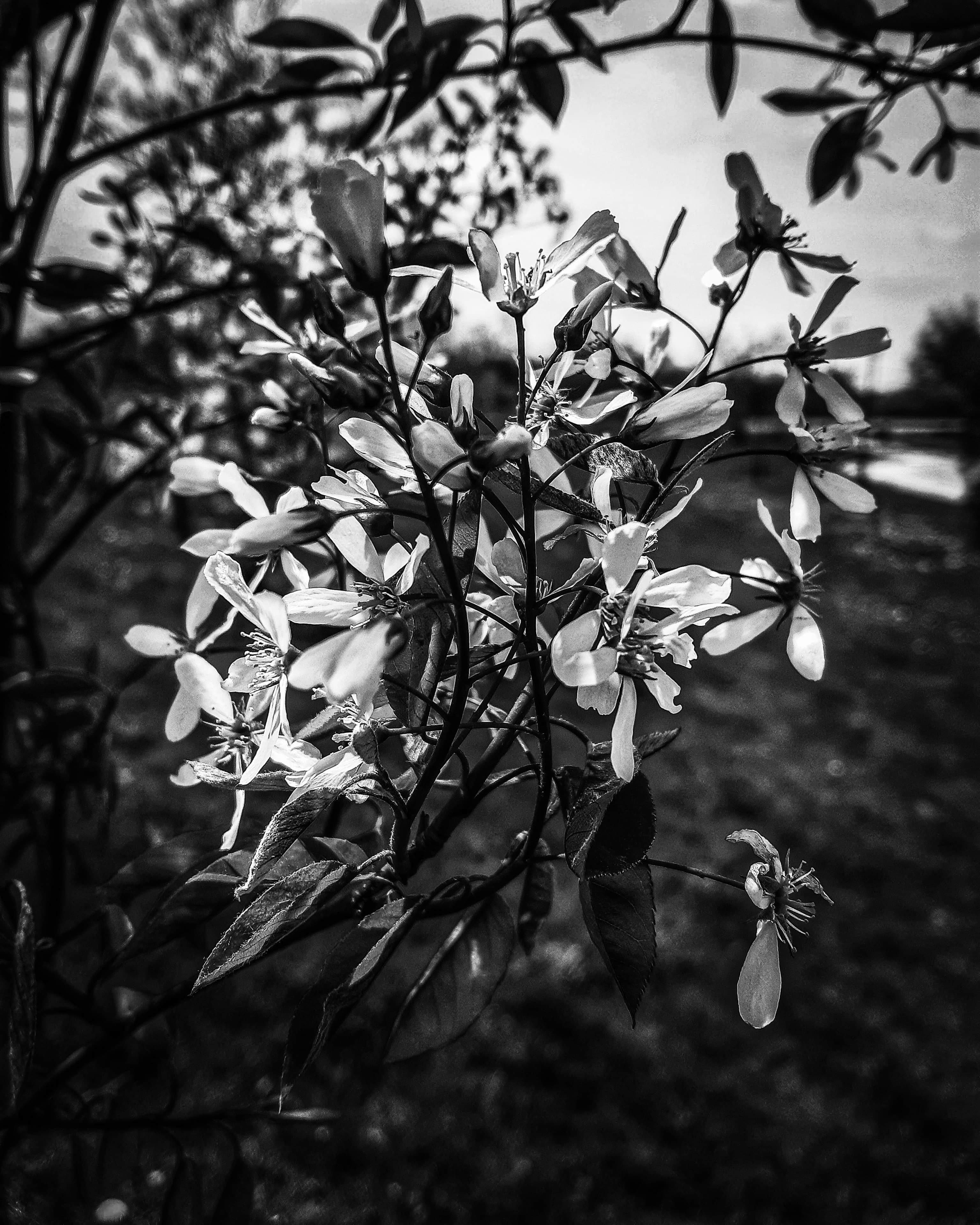 Alex Dion (@alexgrenier) | Communauté photos Unsplash