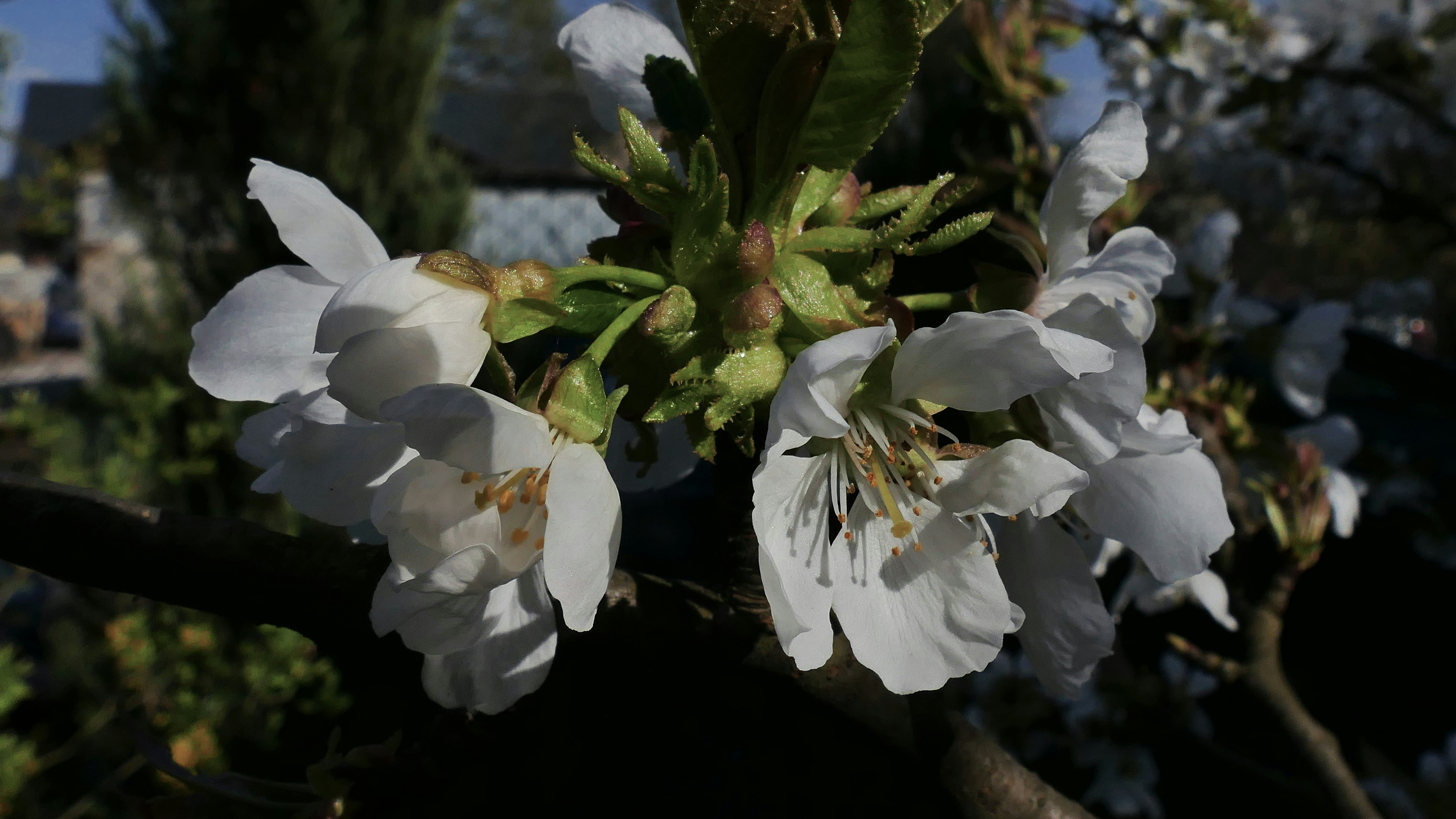 zibik (@zibik) | Unsplash Photo Community