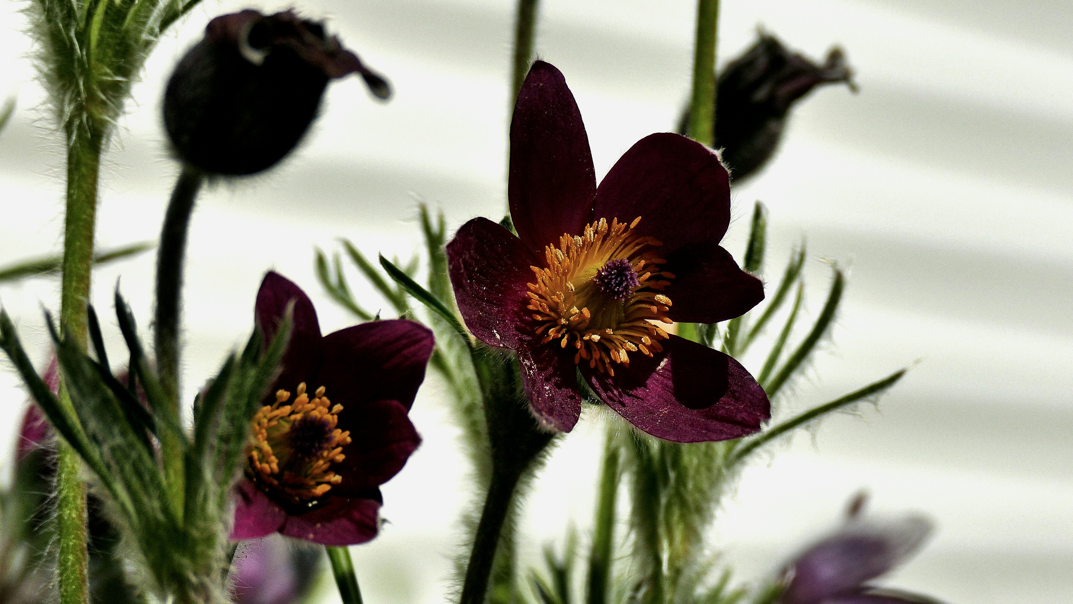 zibik (@zibik) | Unsplash Photo Community