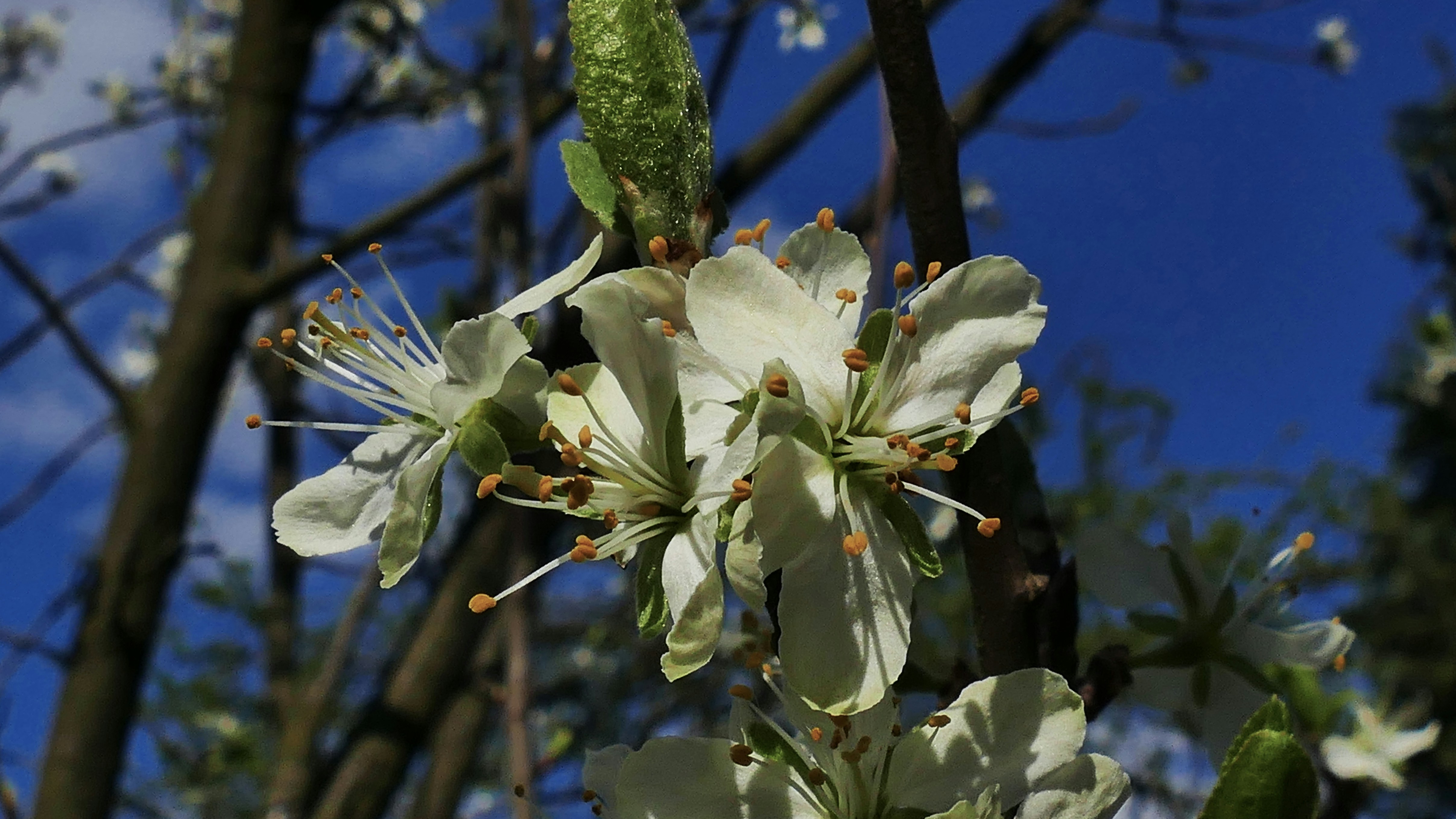 zibik (@zibik) | Unsplash Photo Community