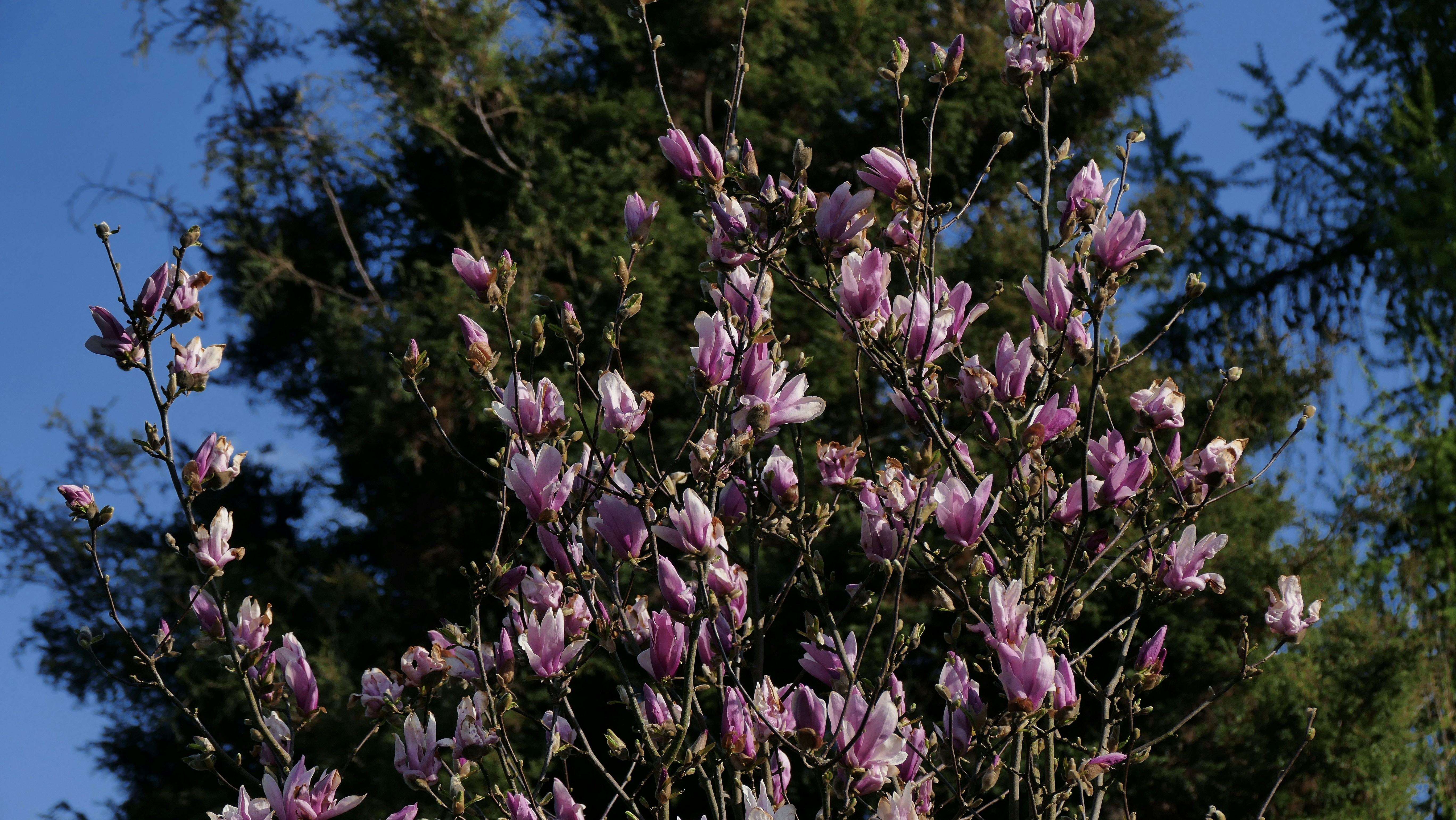 zibik (@zibik) | Unsplash Photo Community
