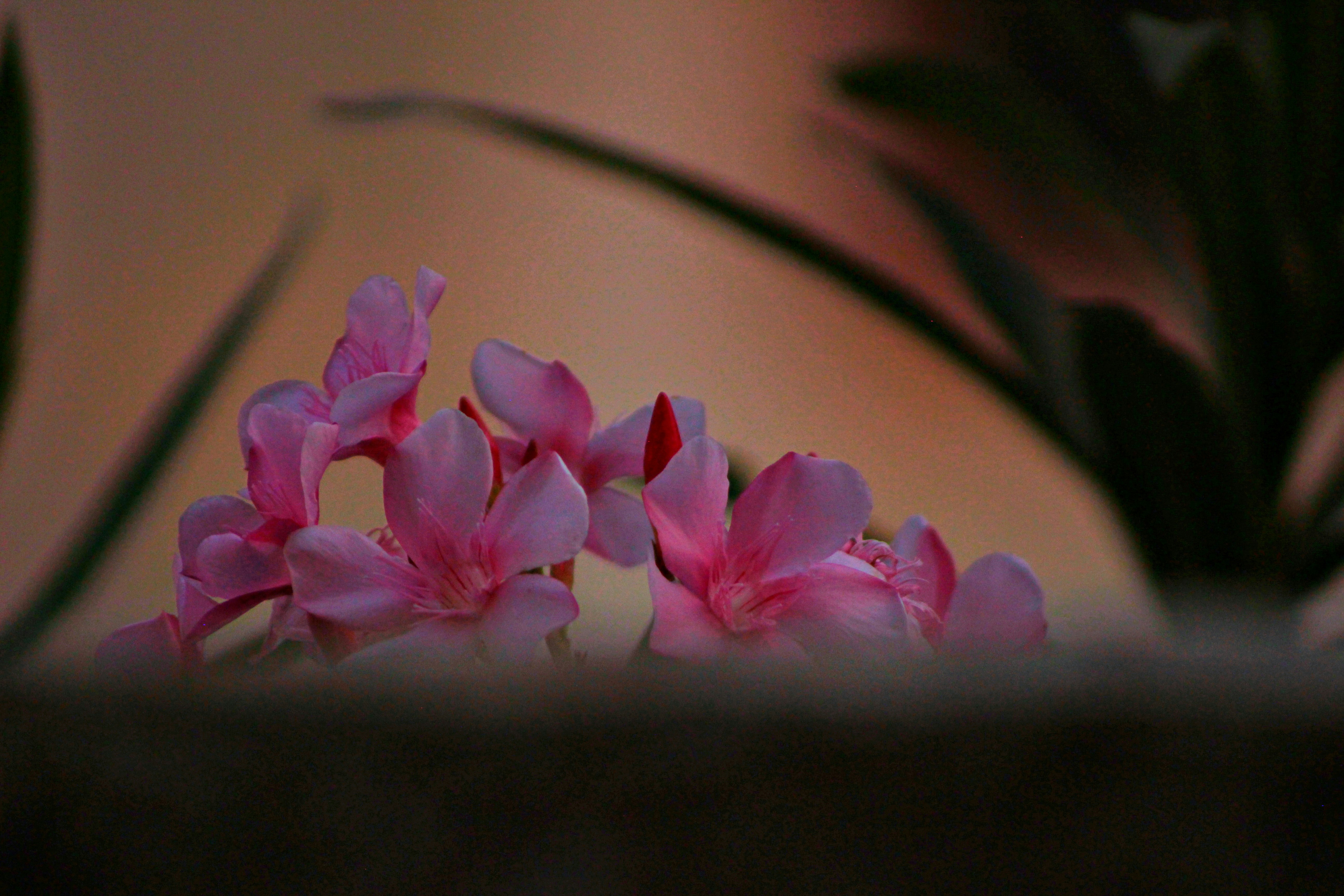 Esther (@xylylpyx) | Unsplash Photo Community