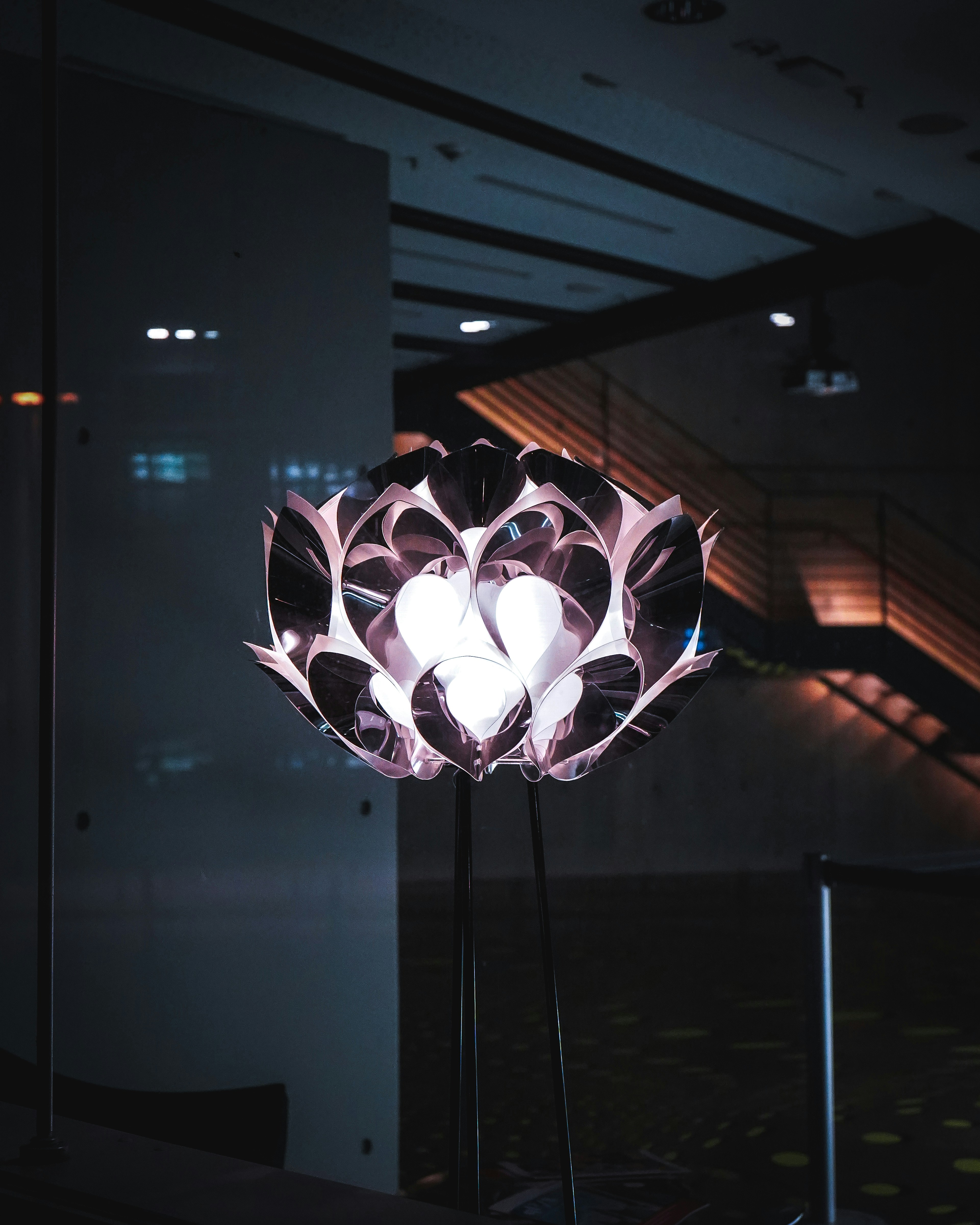 Illuminated Lotus Bloom in a Dim Modern Atrium