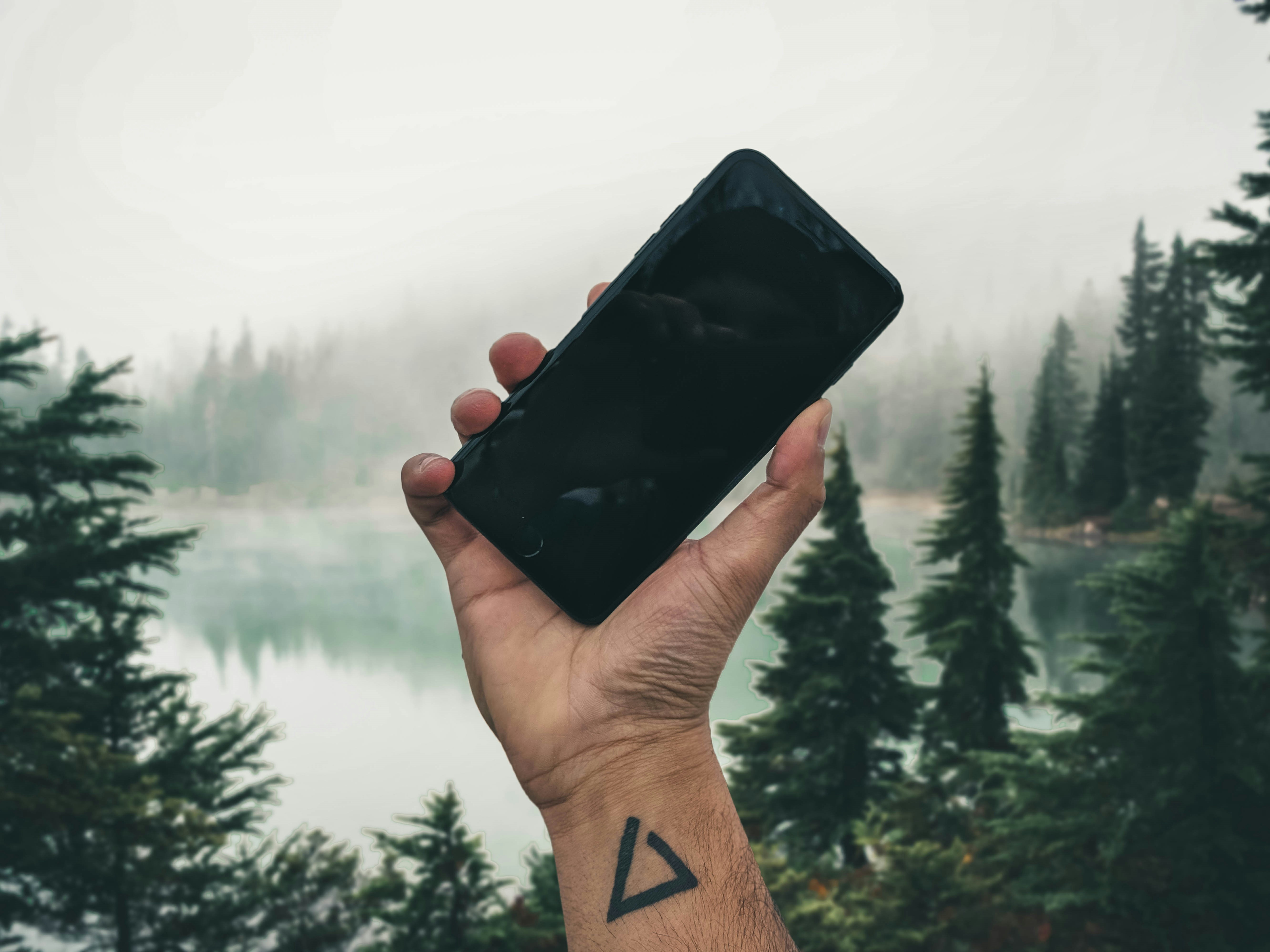 Mid-Mist Moment: A Smartphone Framed by Pine and Lake