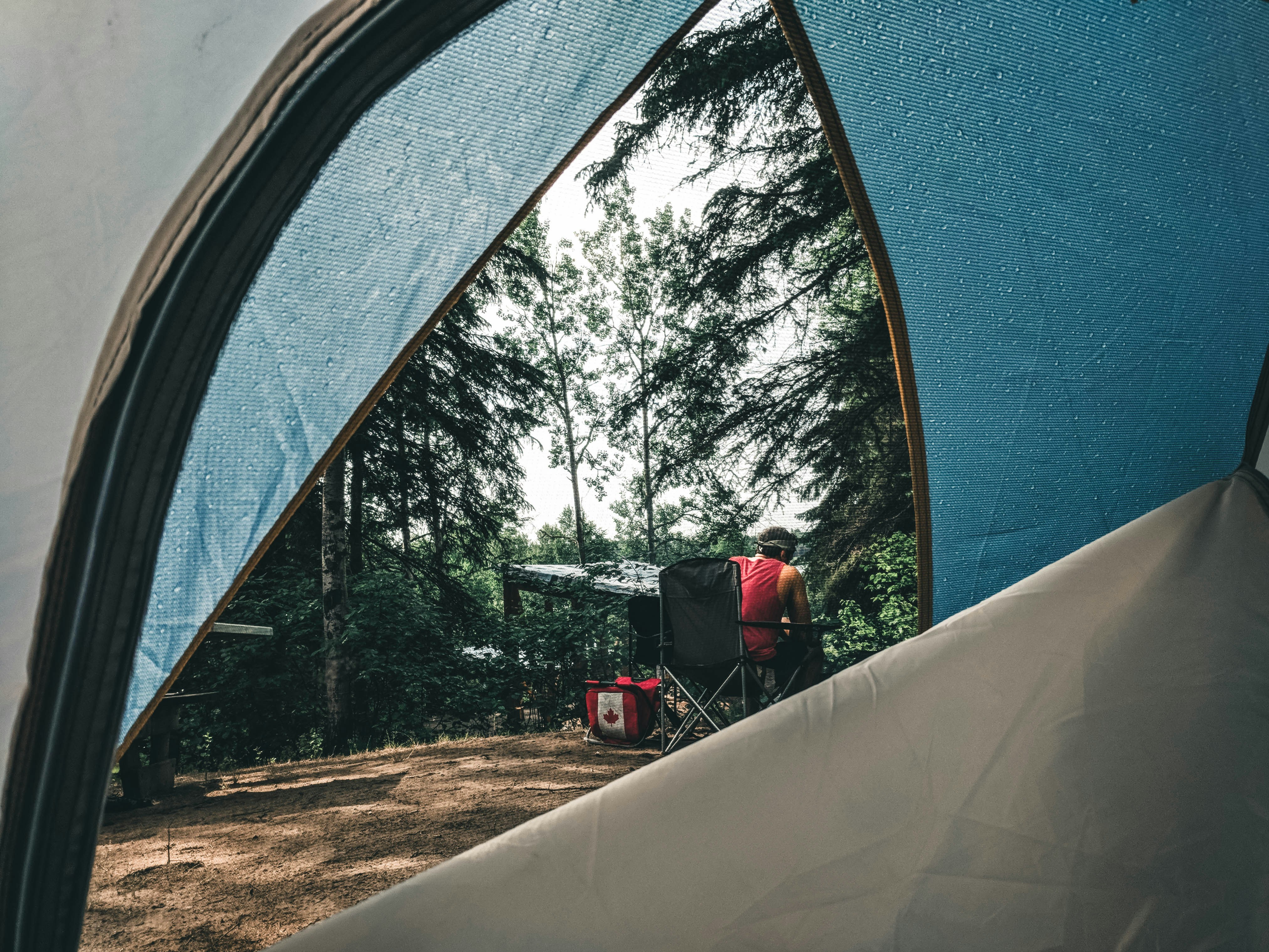 View from inside a tent showcasing a camper relaxing in a chair surrounded by lush trees. The scene captures the essence of outdoor tranquility.