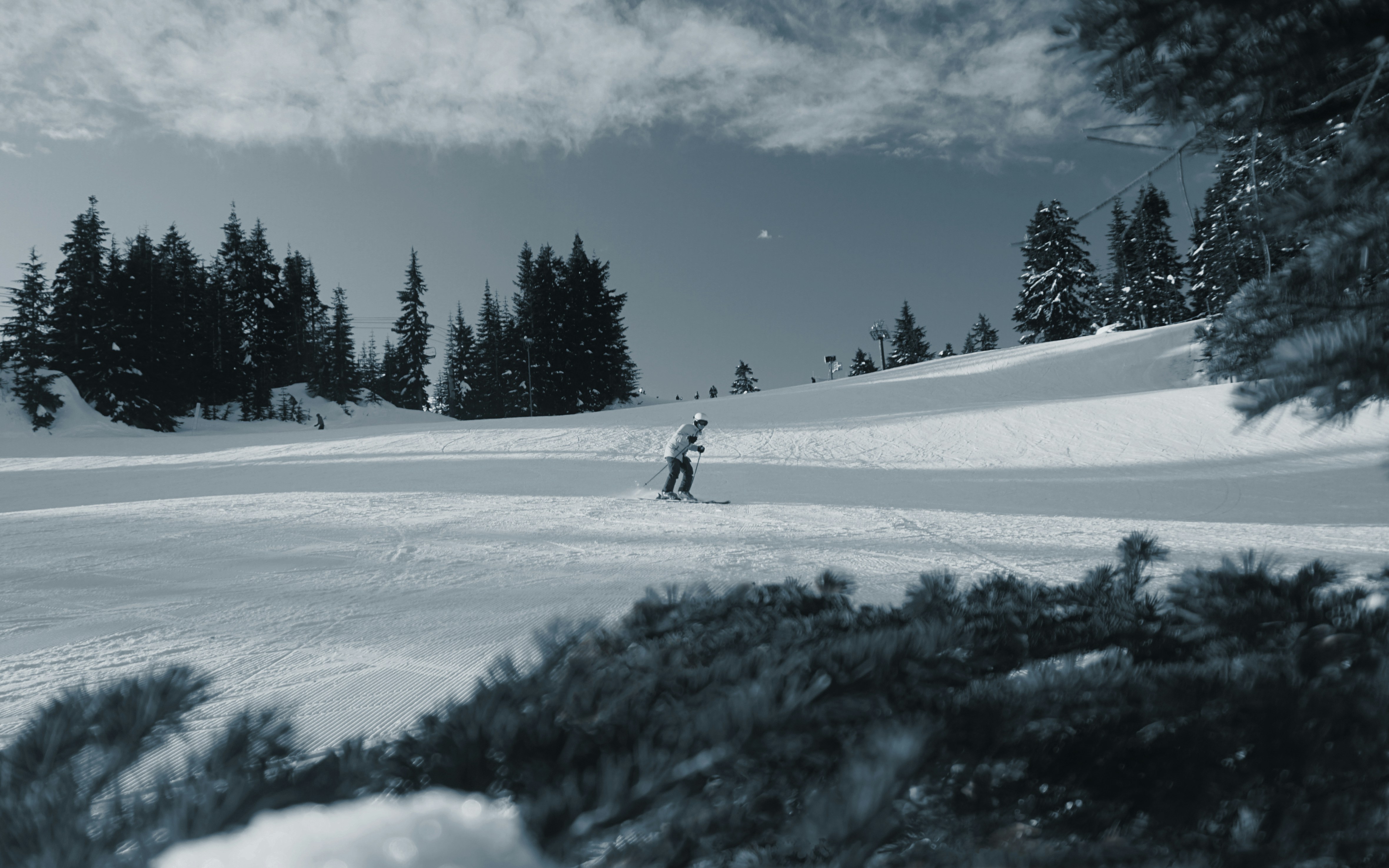 Snowboarder carving through pristine snow on a winter landscape, framed by evergreen trees. A tranquil scene in monochrome.