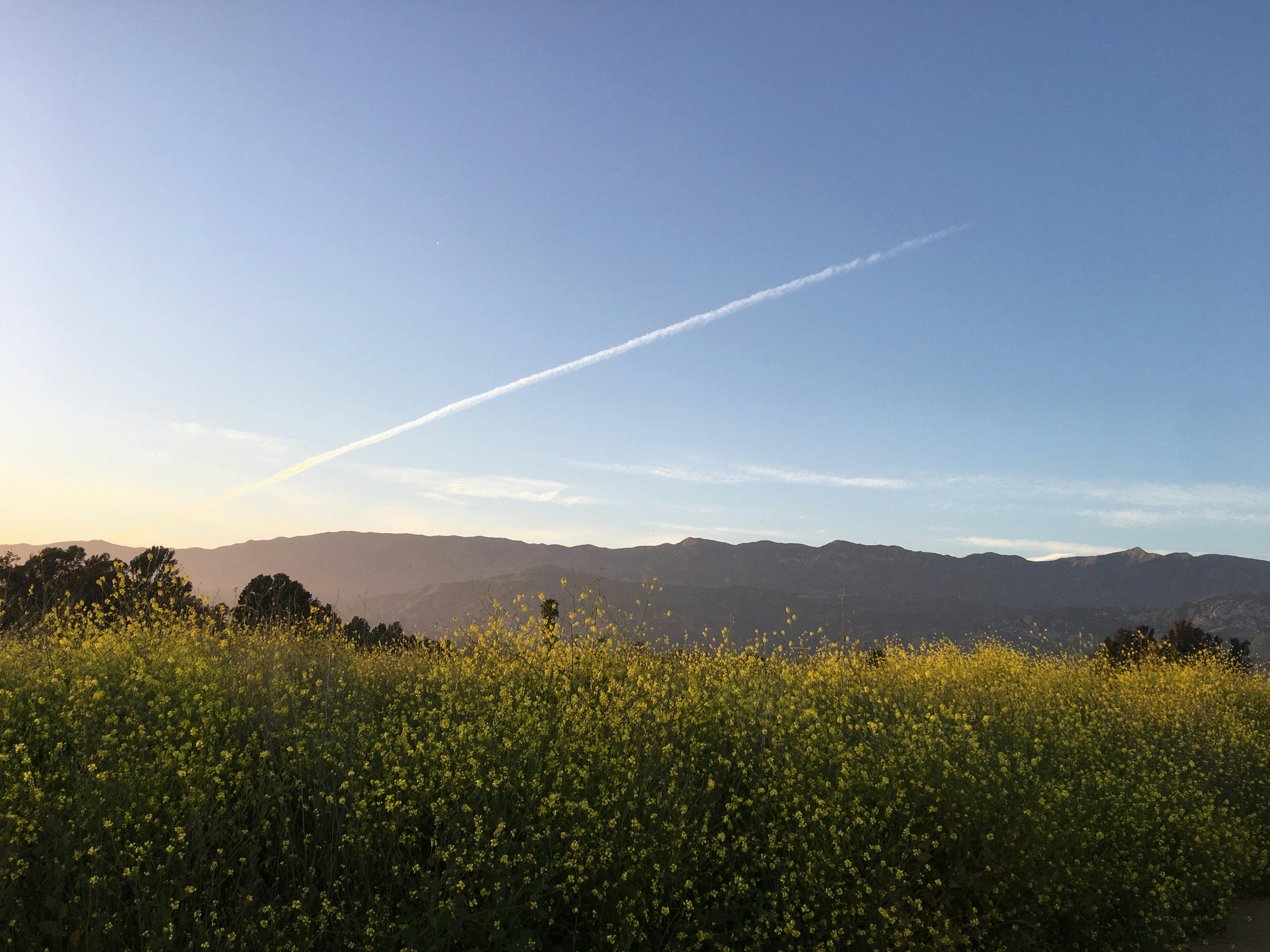 green grass field under blue sky during daytime