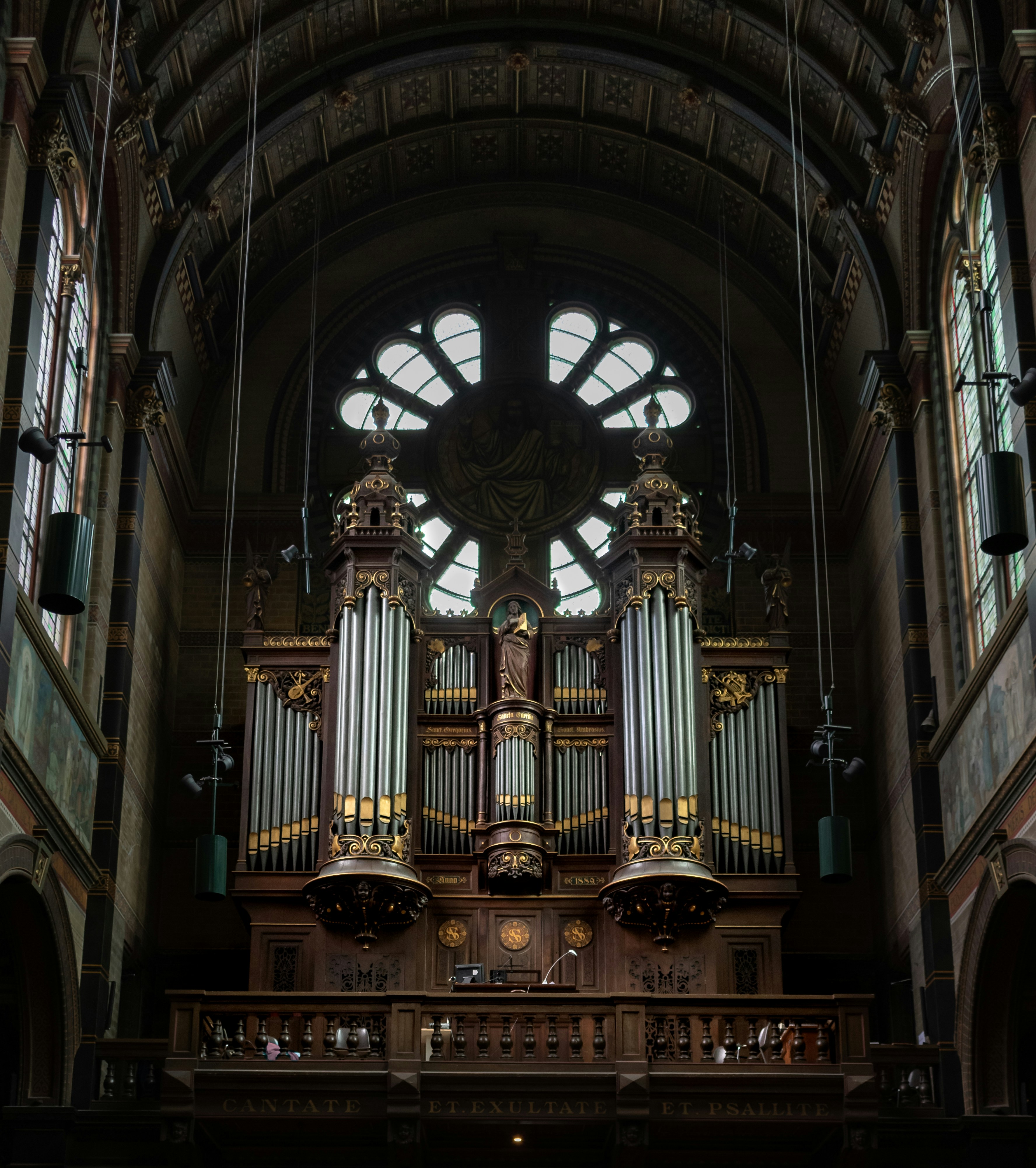 Ornate organ in a grand cathedral with intricate wooden carvings and towering pipes beneath an arched ceiling.
