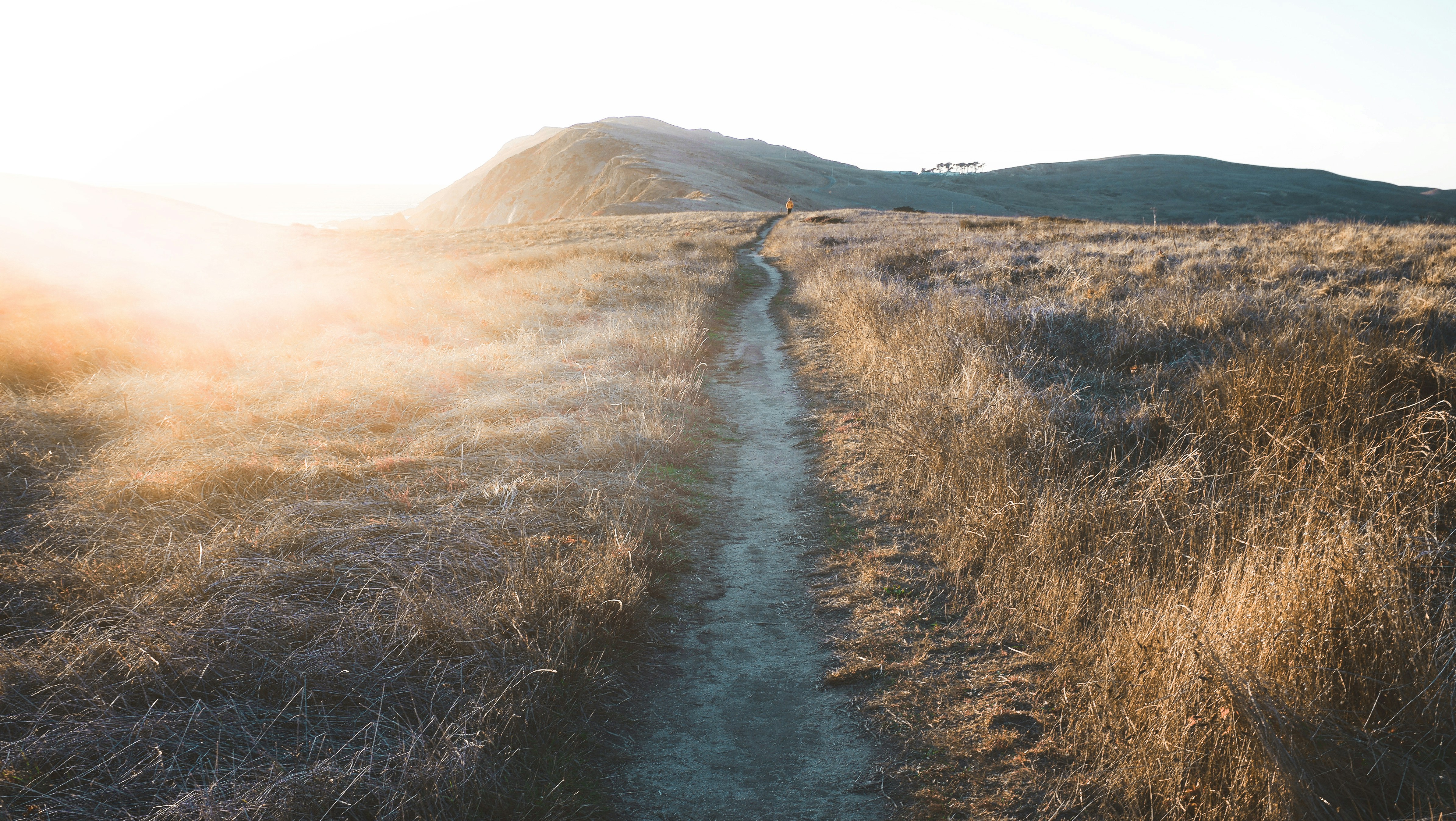 Winding dirt path through sunlit golden grasslands leading to distant hills.