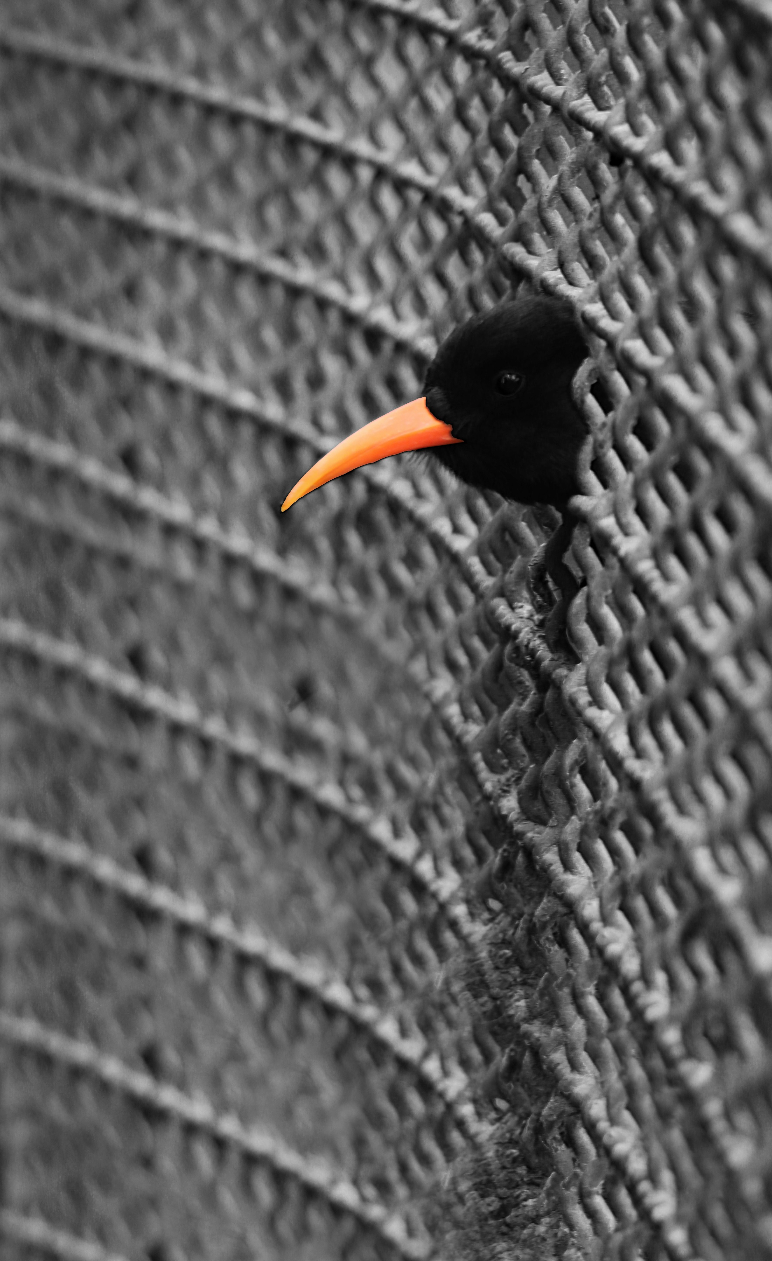 Sample photo from Canon EOS 760D