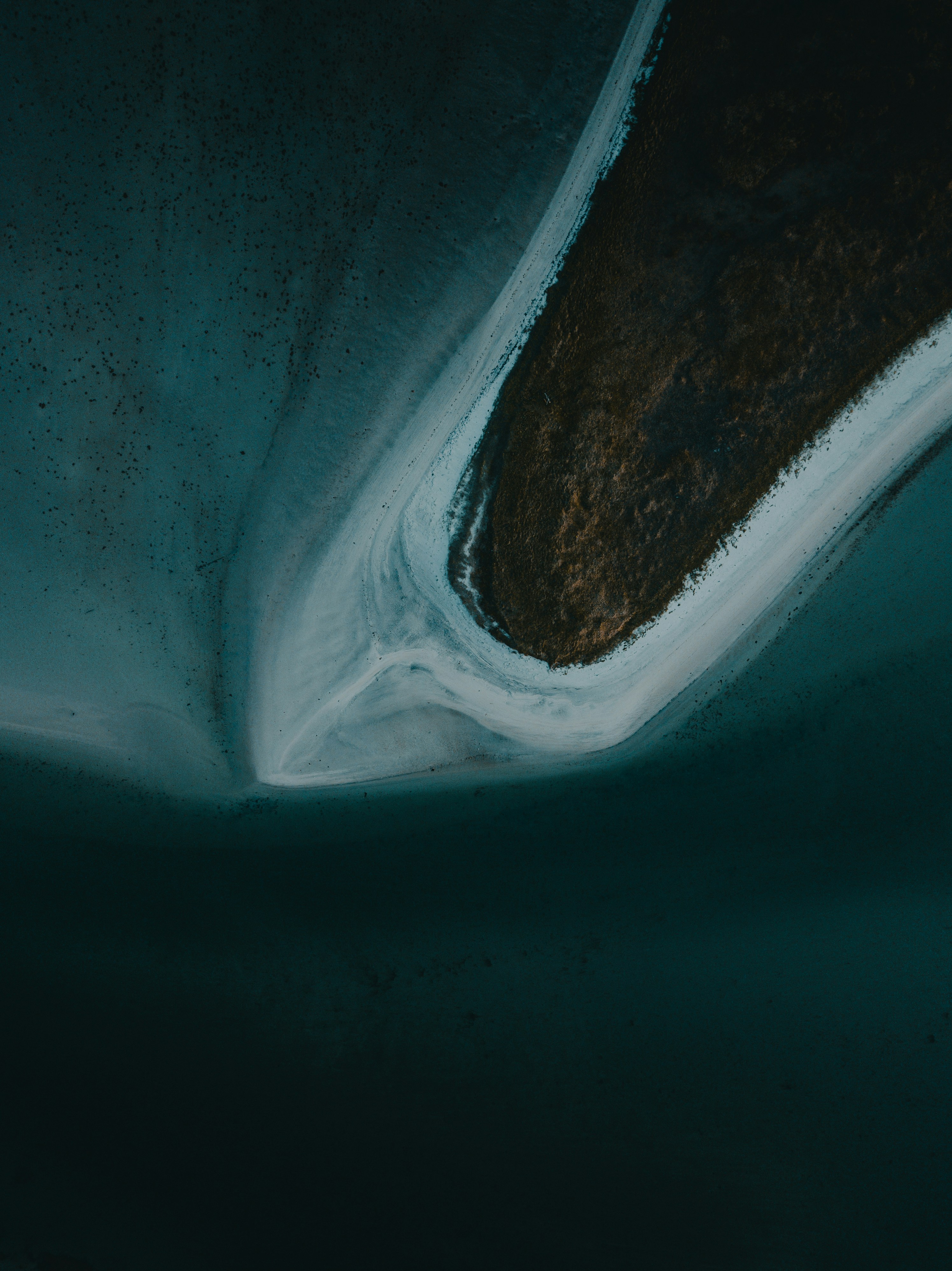 Whale Lungs Photo Pictures | Download Free Images on Unsplash