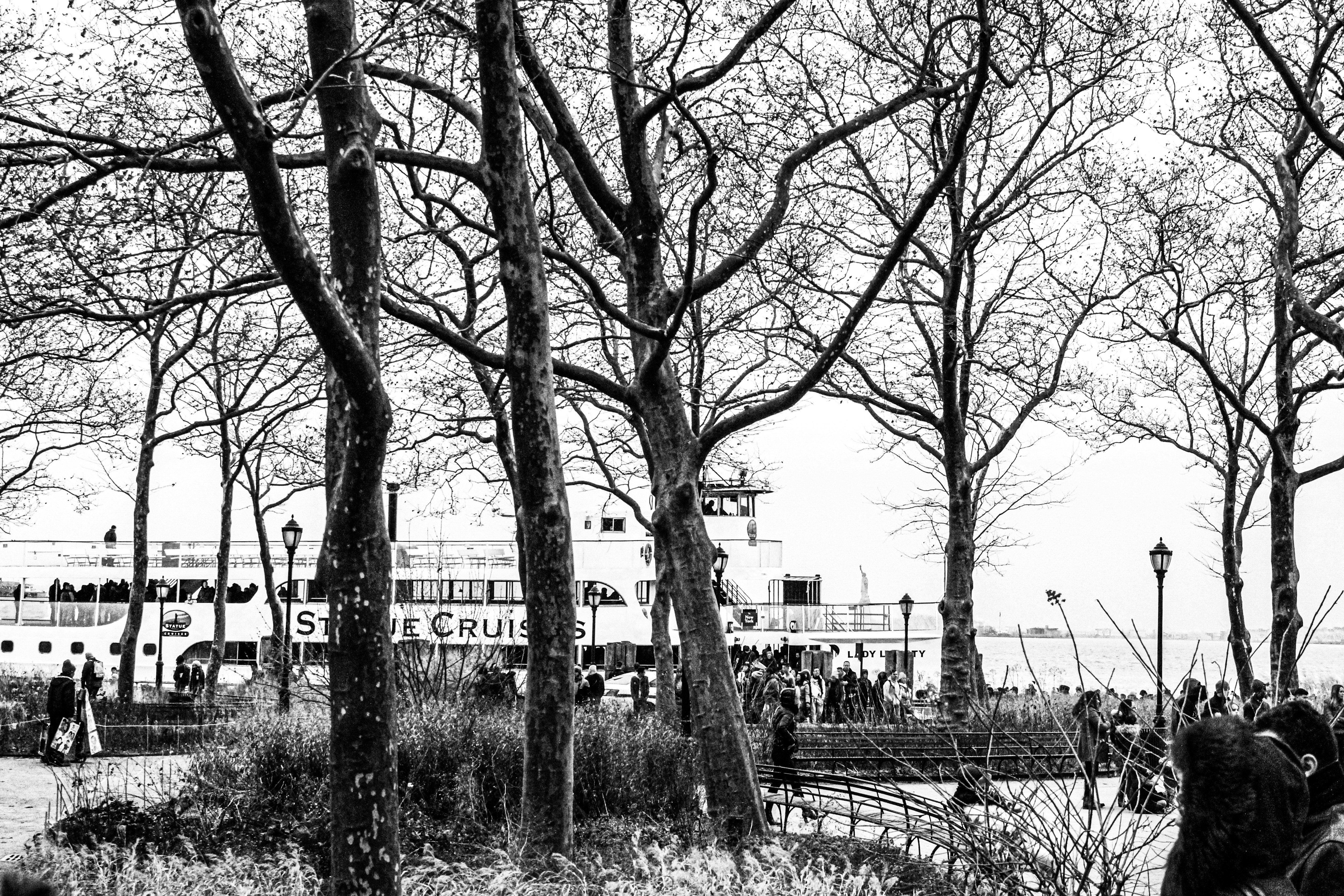 Lorena Farrera (@lorenafarrera) | Unsplash Photo Community