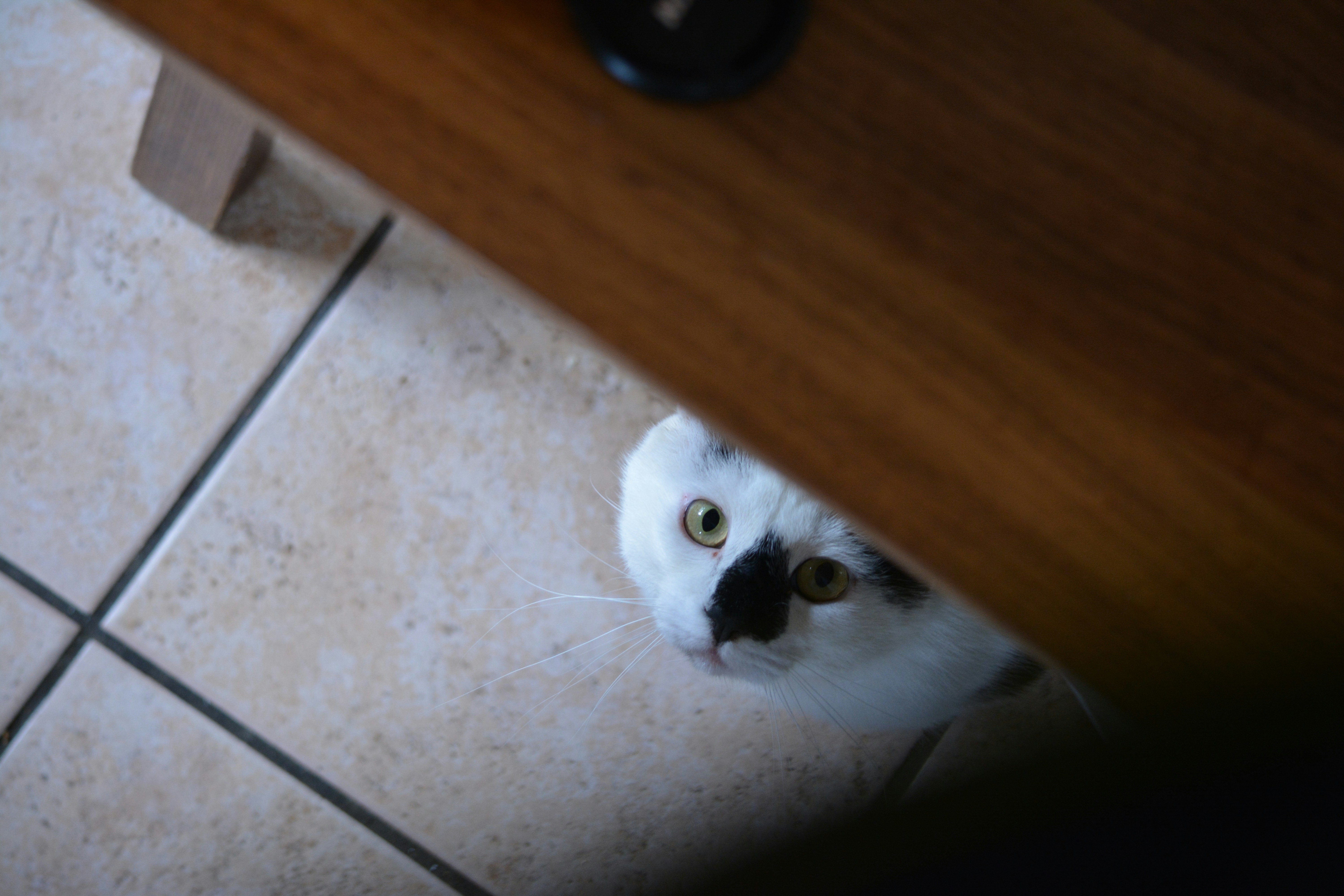 look at me